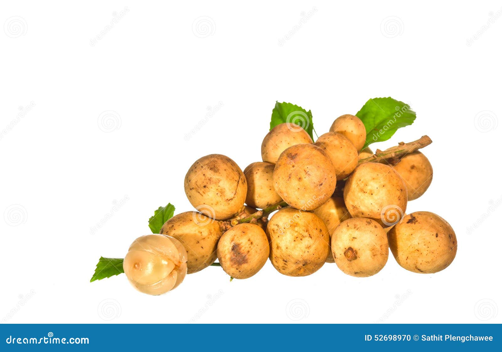 Lansium Domesticum Isolated Stock Photo - Image of langsat, delicious ...