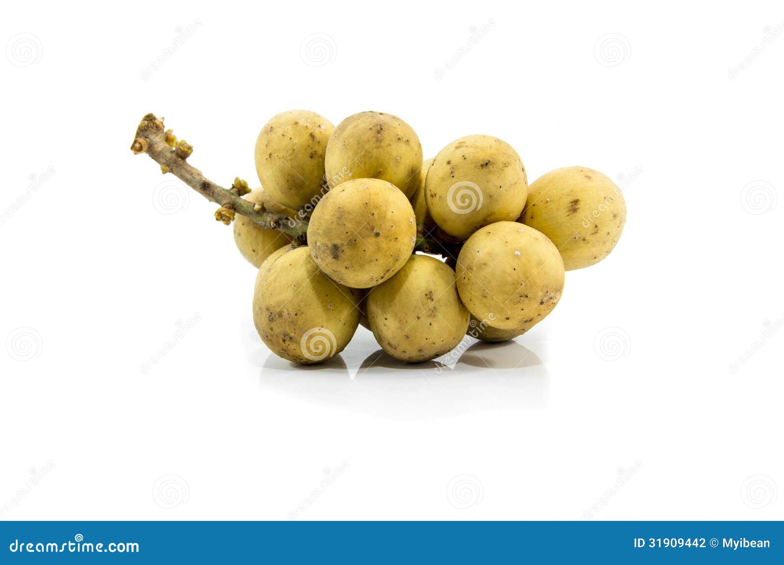 Lansium Domesticum, Domestic Fruit, Also Known As Langsat Fruit Royalty ...