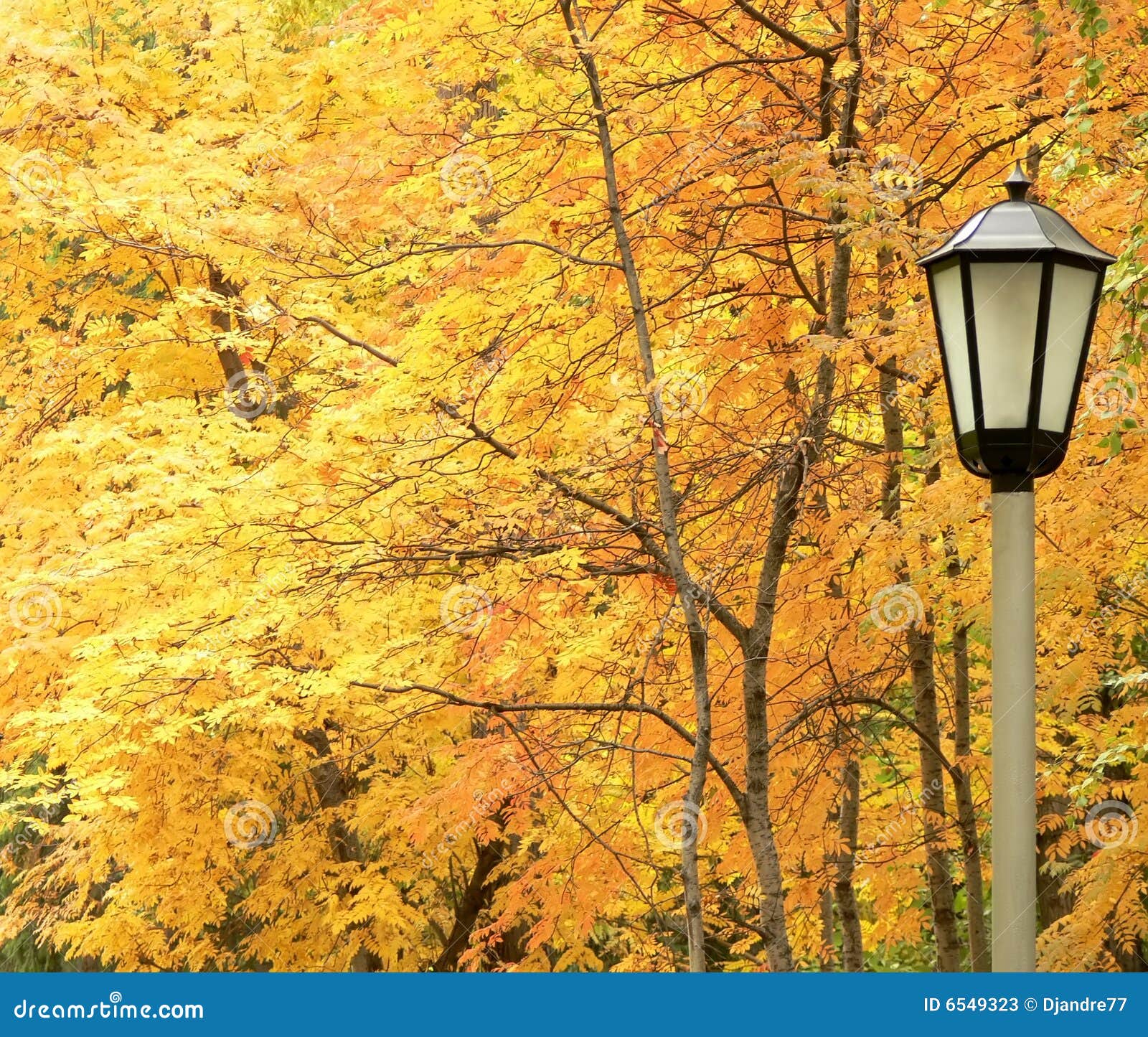 Lantern Against Autumn Yellow Trees. Stock Image - Image of lighting ...