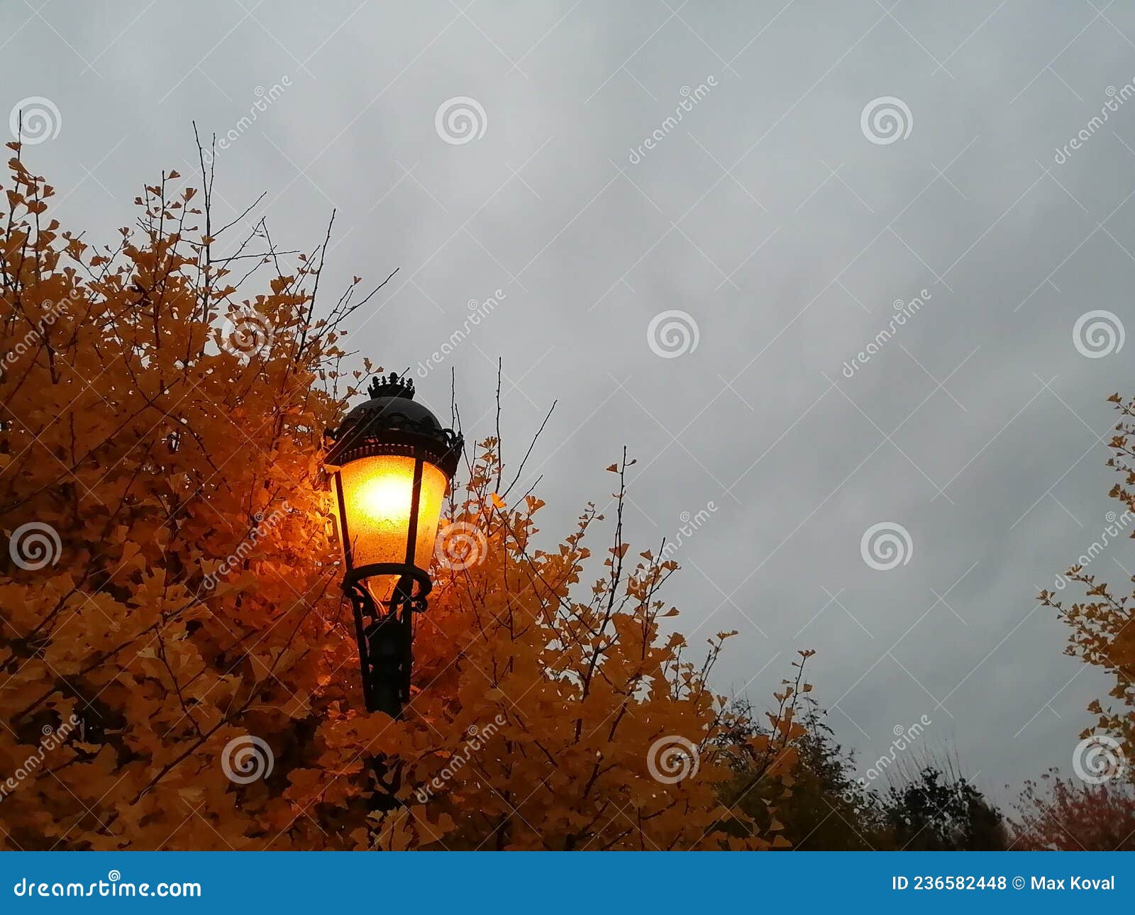 Lantern in autumn foliage stock photo. Image of autumn - 236582448