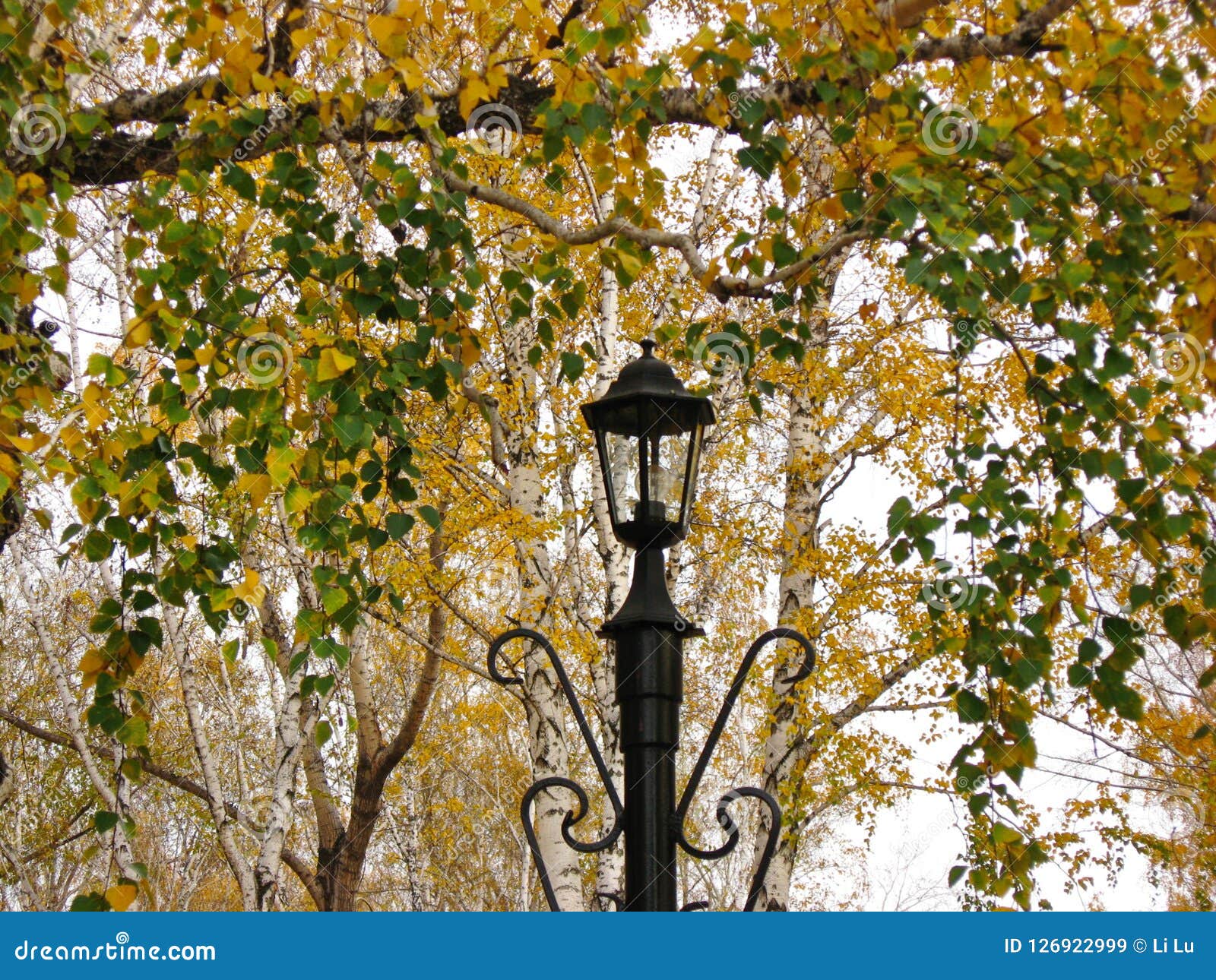 Lantern and autumn trees stock image. Image of landmark - 126922999