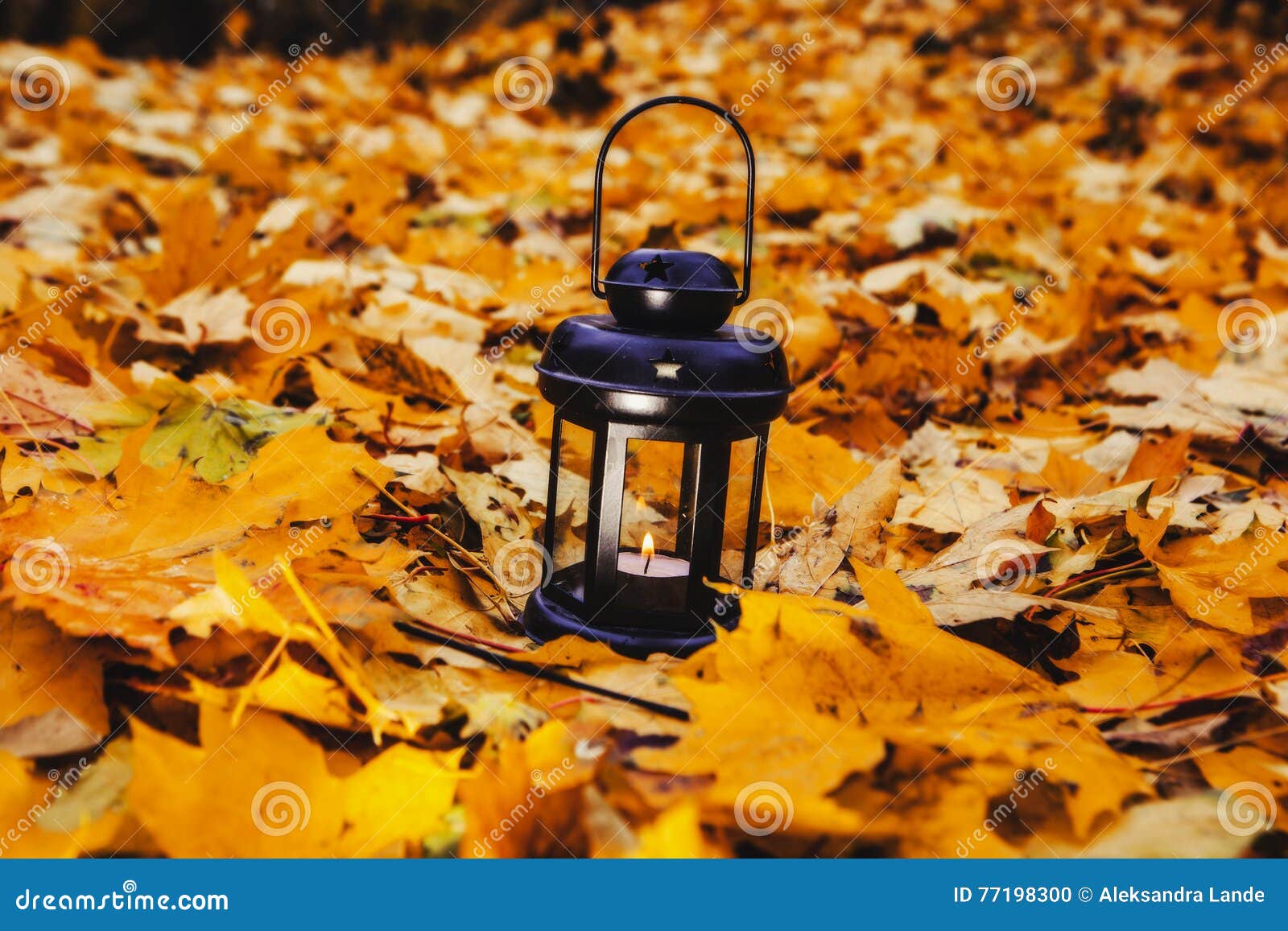 Lantern in Bright Autumn Leafes Stock Photo - Image of autumn ...