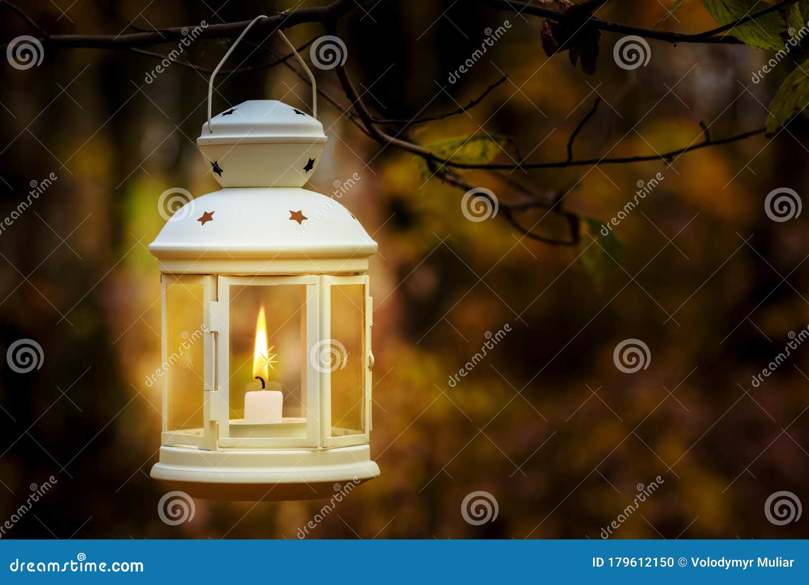 Lantern with Candle in Forest on Tree Branch at Night Stock Photo ...