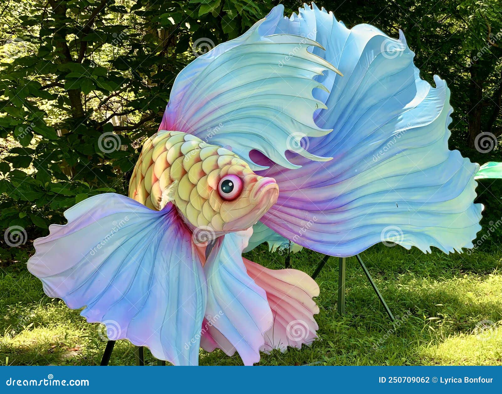Lantern fish Decoration stock photo. Image of taste - 250709062