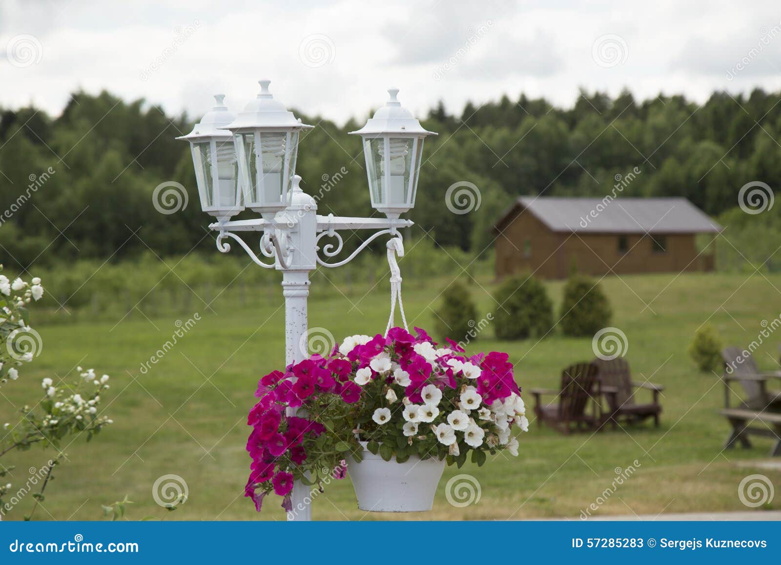 Lantern and flower pot stock image. Image of flower, nature - 57285283
