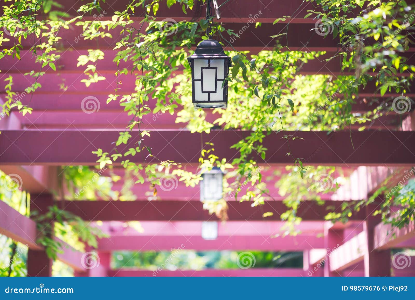 Lantern Hanging on a Pathway with Vegetation in a Park Stock Photo ...