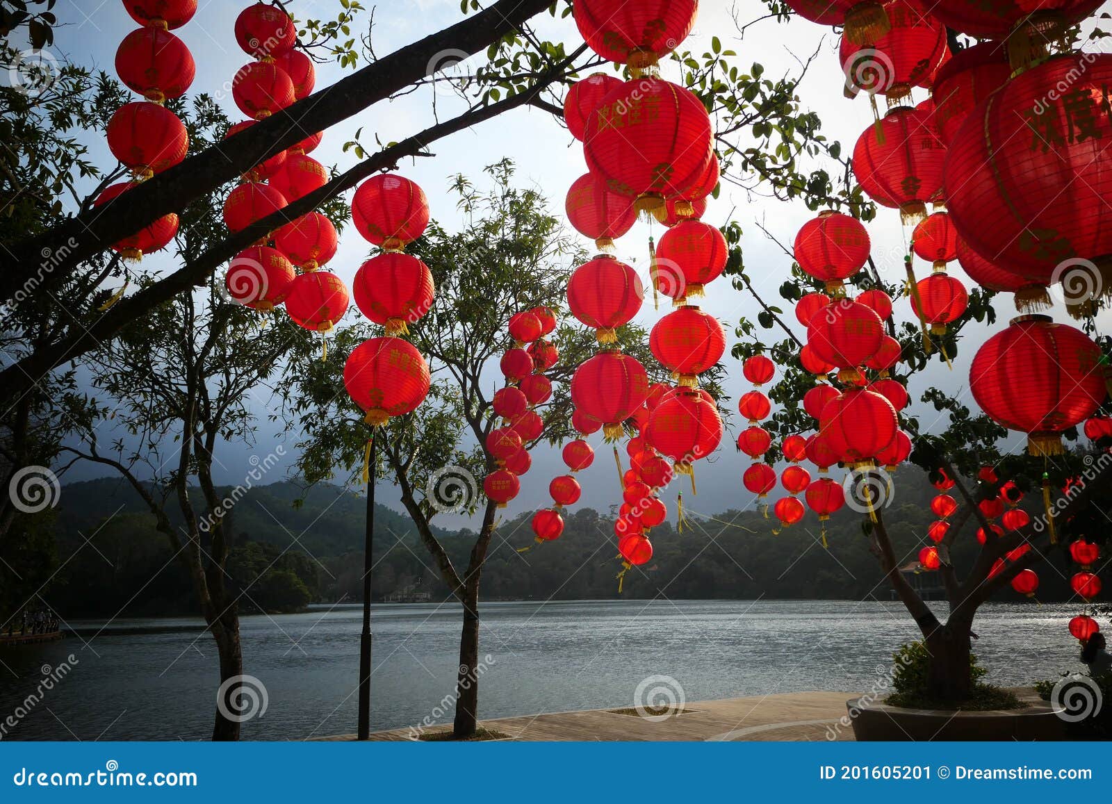 Lantern Hanging on the Tree by the Lake Stock Image - Image of nature ...