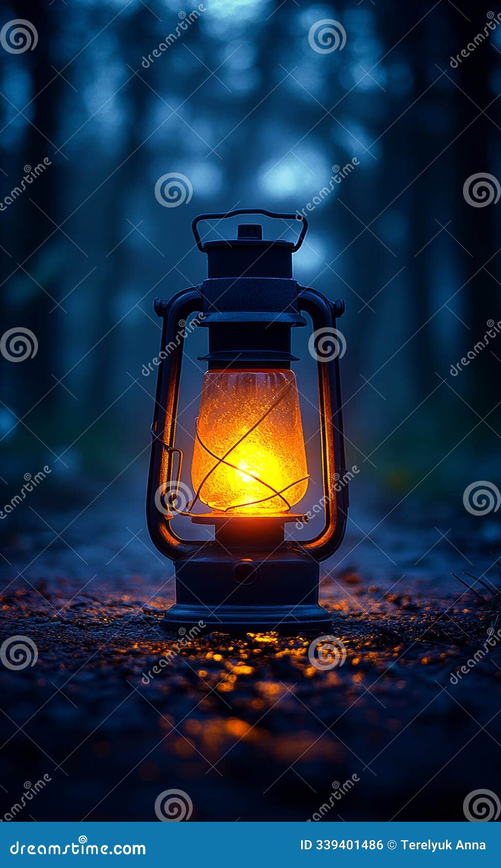 A Lantern is Lit in a Forest Stock Photo - Image of bright, antique ...