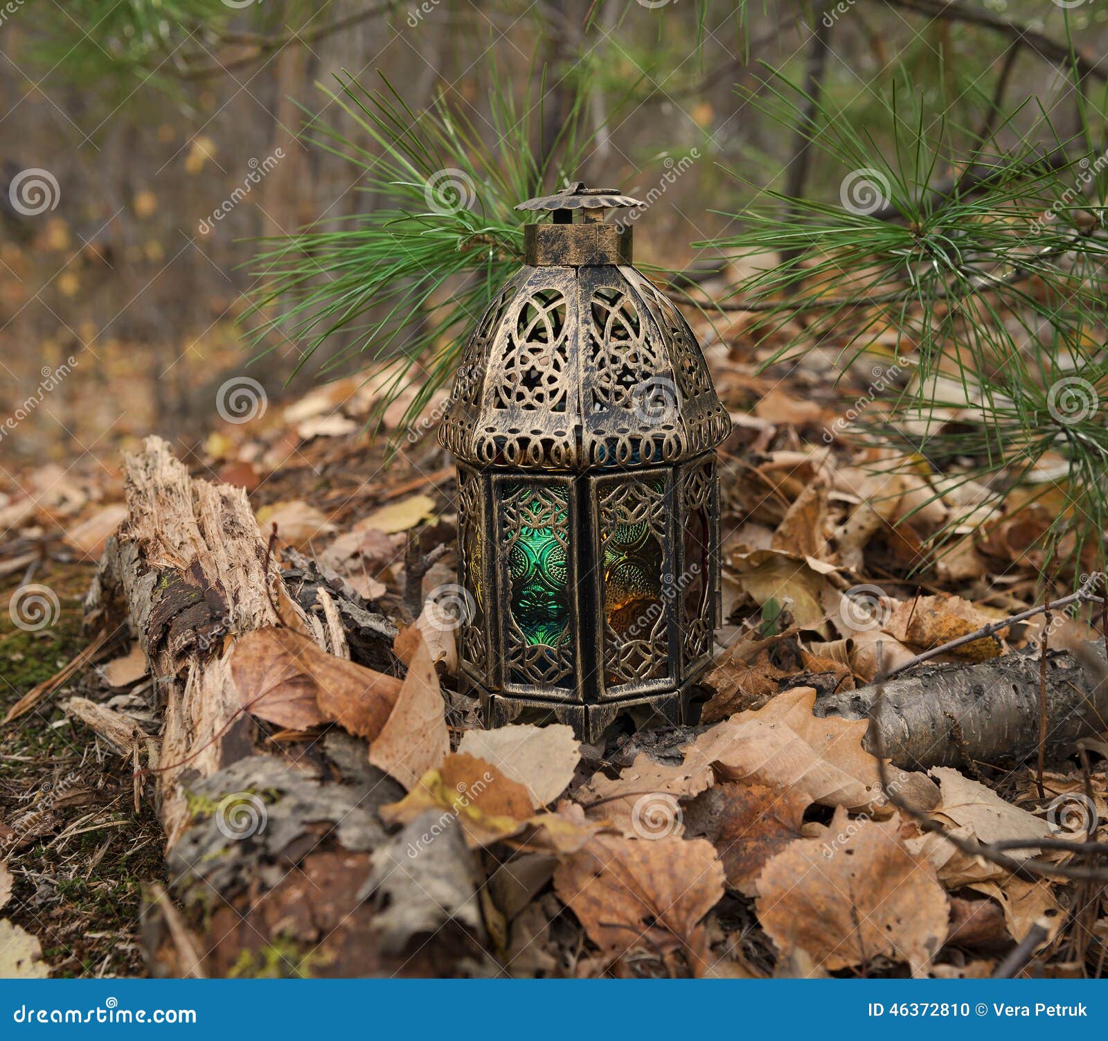 Lantern with Magic Light in the Forest Stock Photo - Image of calm ...