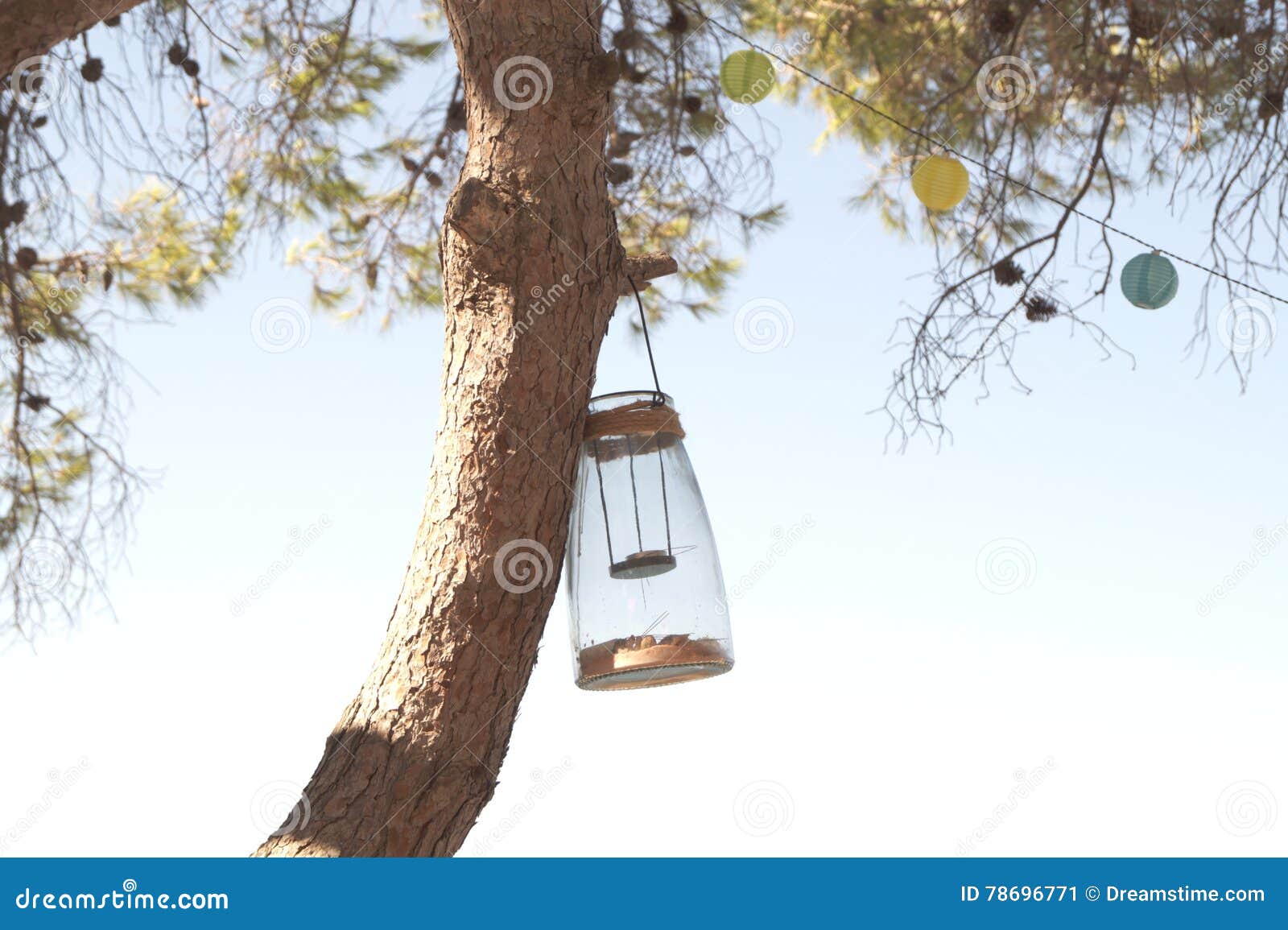Lantern stock image. Image of tree, lantern, yellow, nature - 78696771