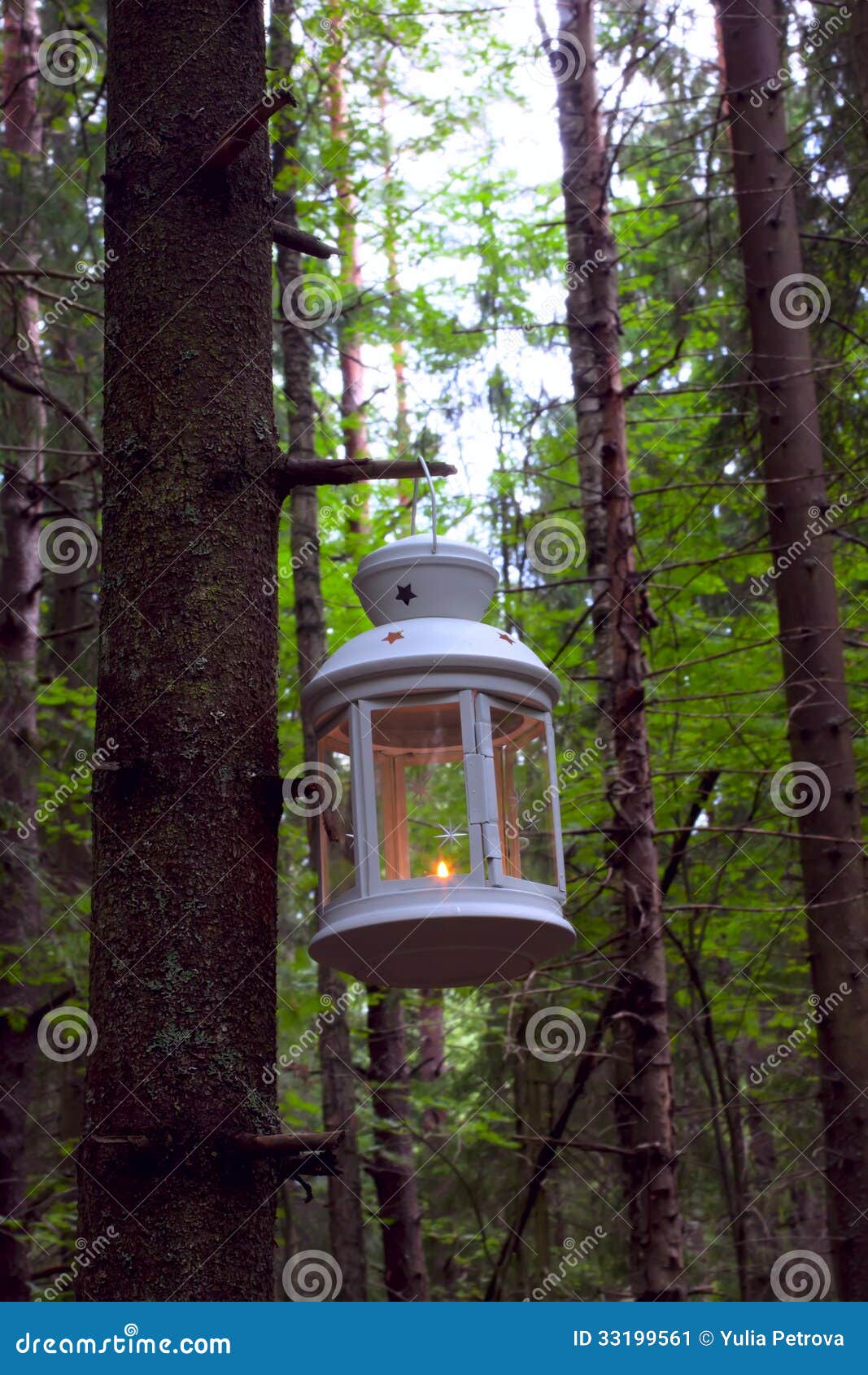 Lantern on a tree stock image. Image of fairy, nature - 33199561