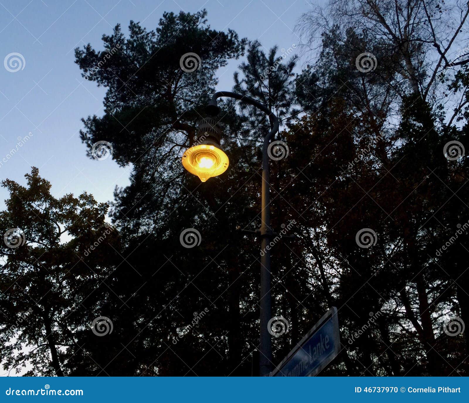 Lantern with trees stock photo. Image of lamp, trees - 46737970