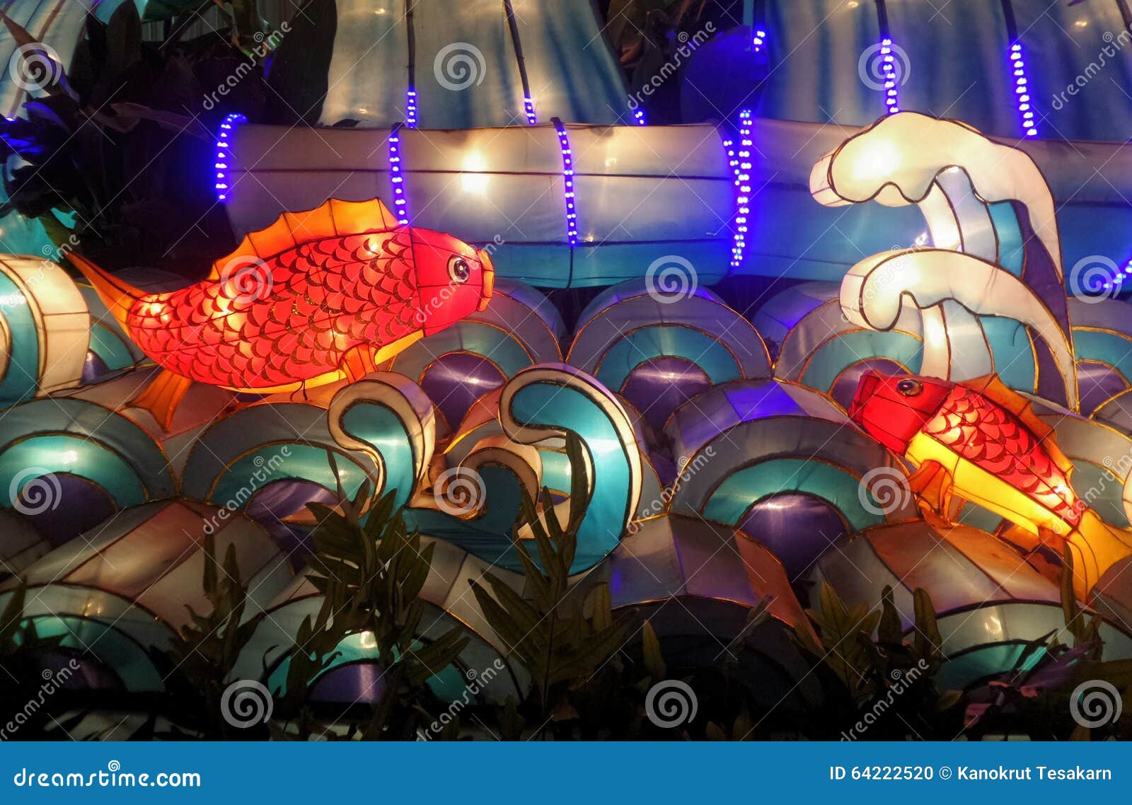 Lanterna Rossa Colourful Del Pesce Fotografia Stock - Immagine di ...