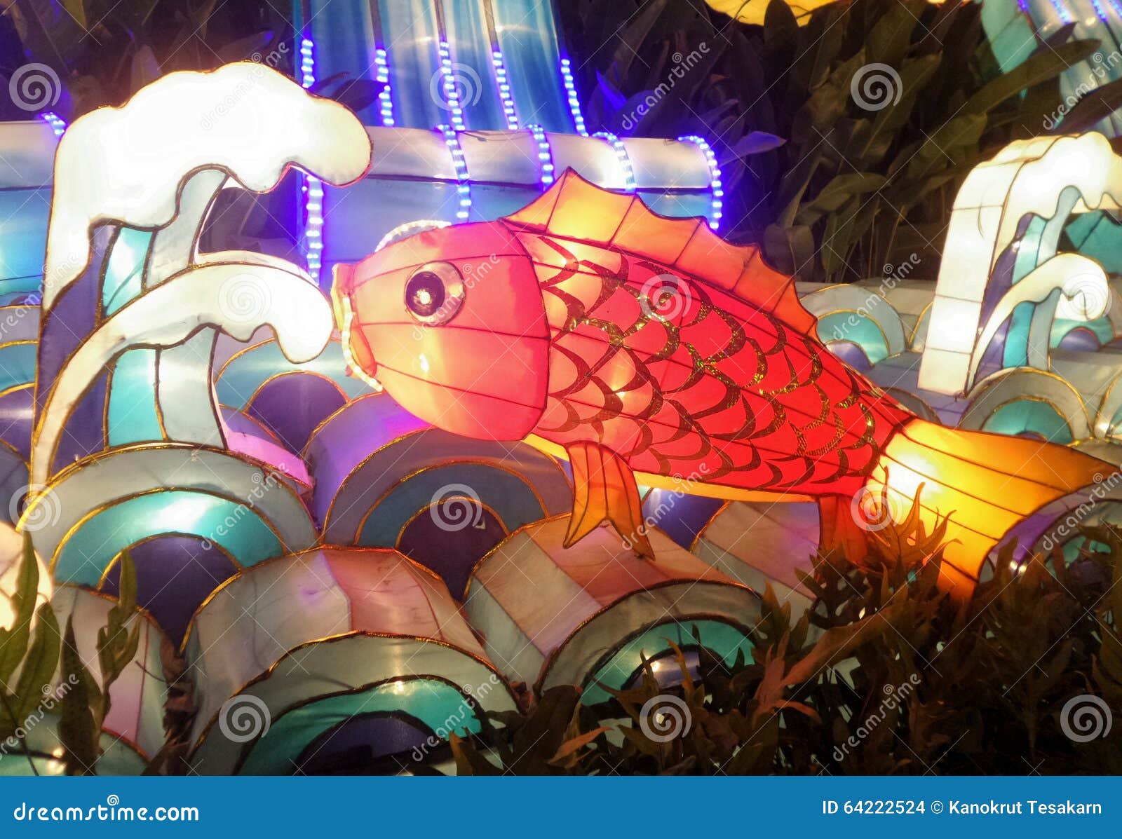 Lanterna Rossa Colourful Del Pesce Fotografia Stock - Immagine di ...