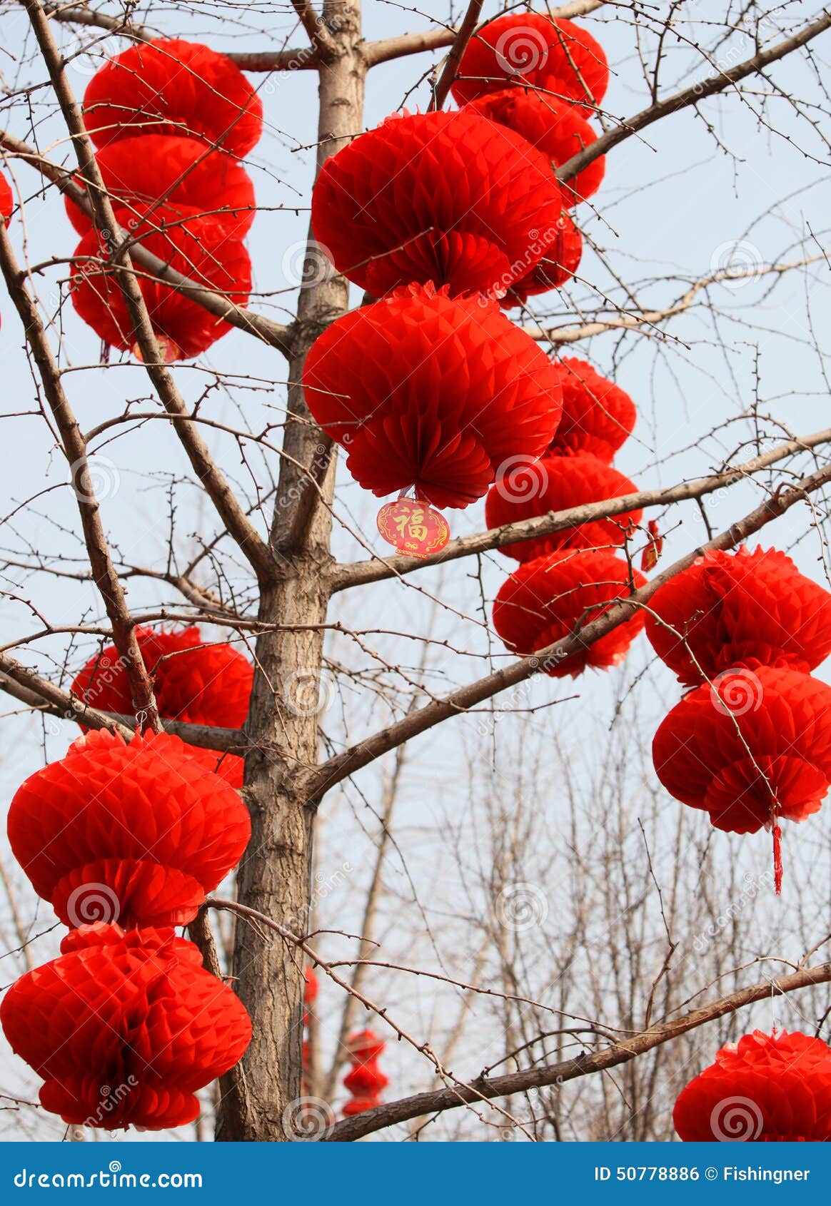 Lanterns Hanging from Tree stock photo. Image of celebration - 50778886