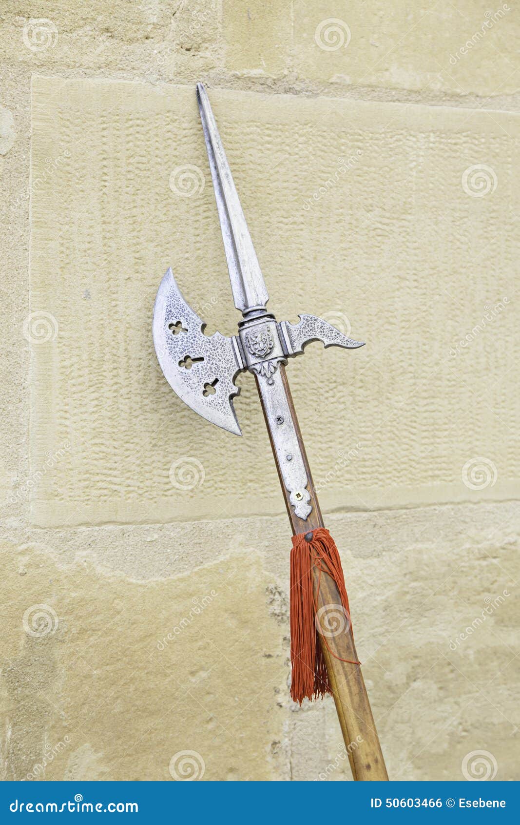 Lanza medieval vieja foto de archivo. Imagen de edades - 50603466