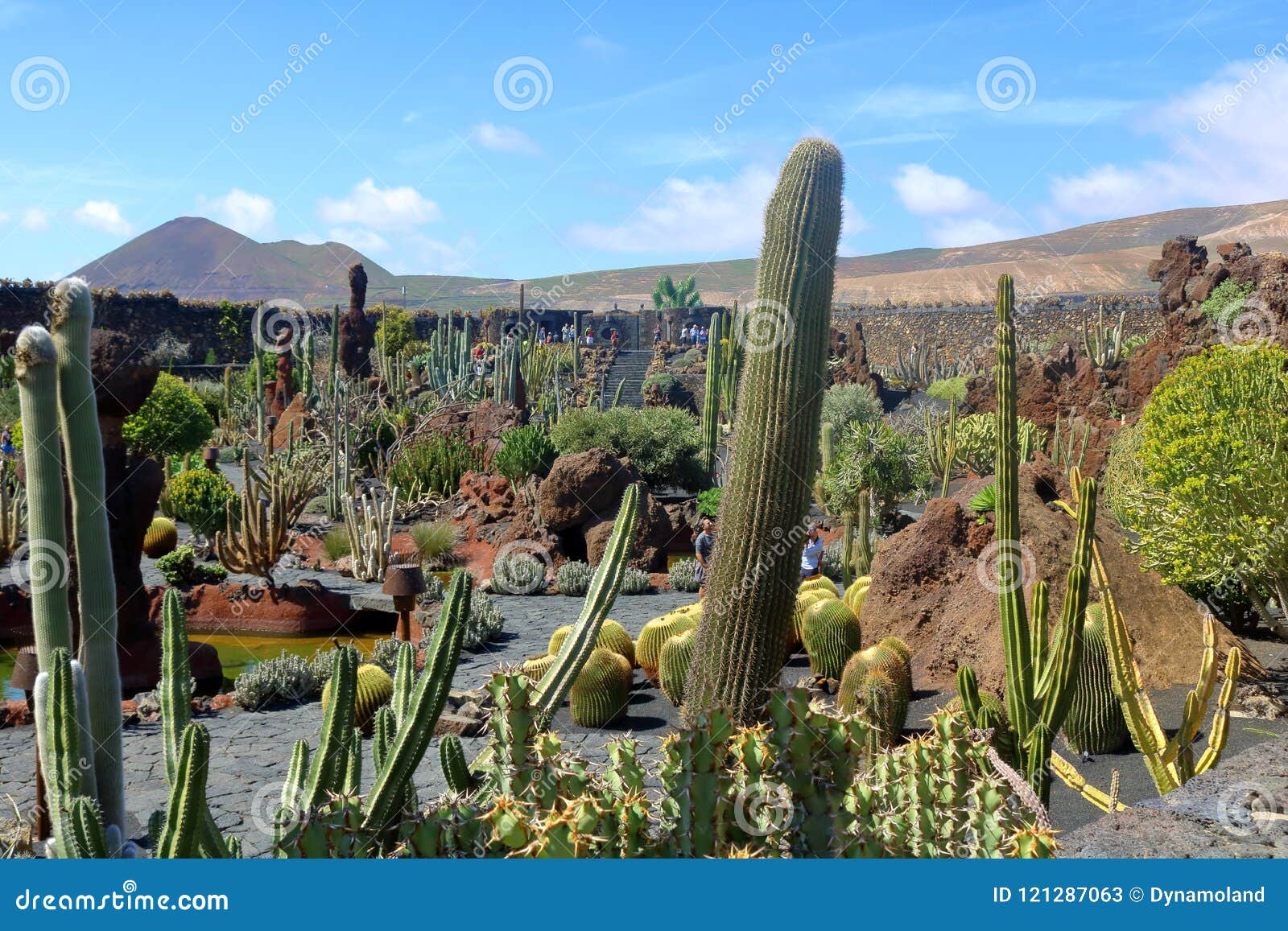 Lanzarote on the Canaries editorial stock photo. Image of landscape ...