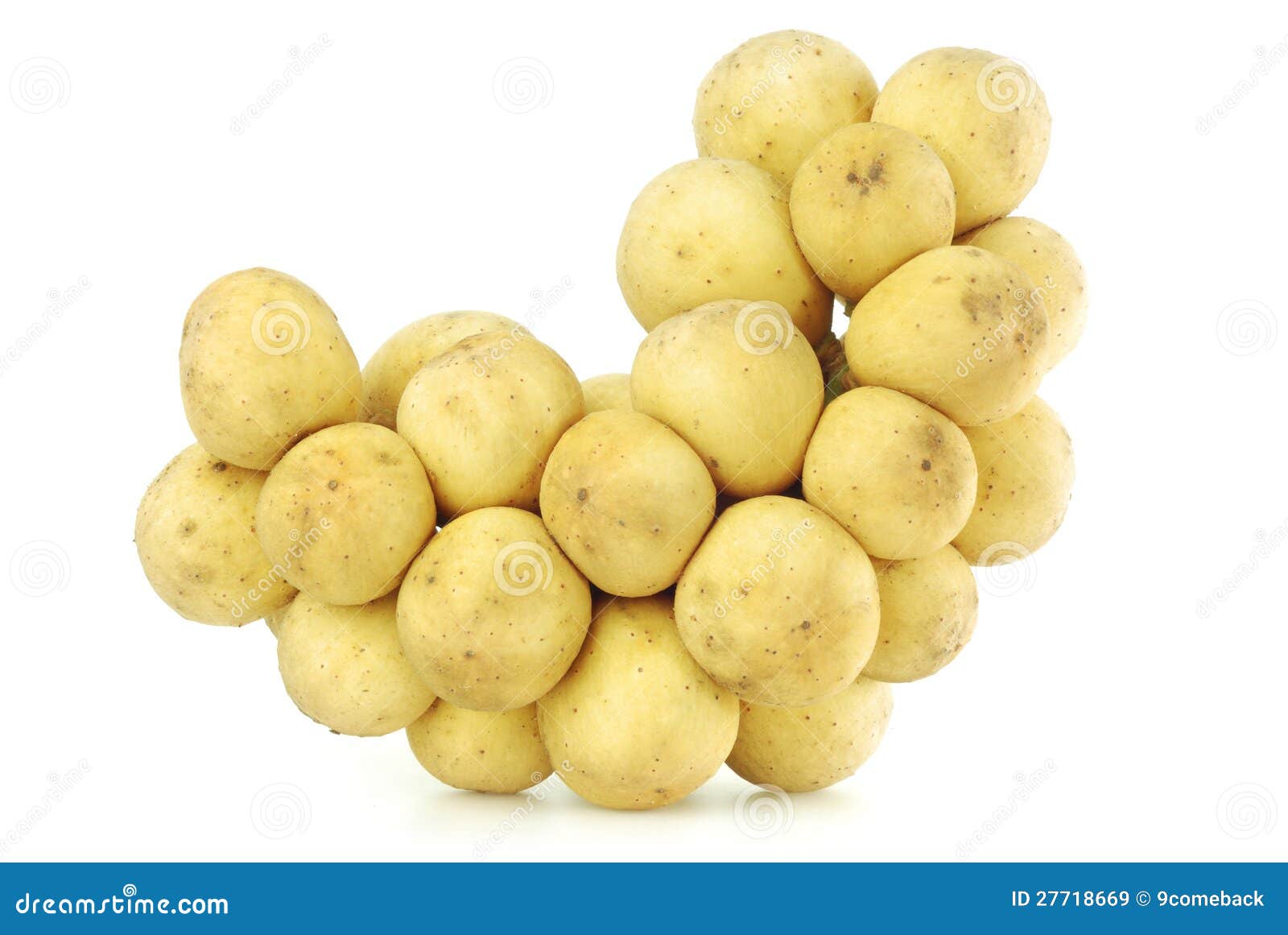 Lanzones stock image. Image of health, color, juicy, longong - 27718669