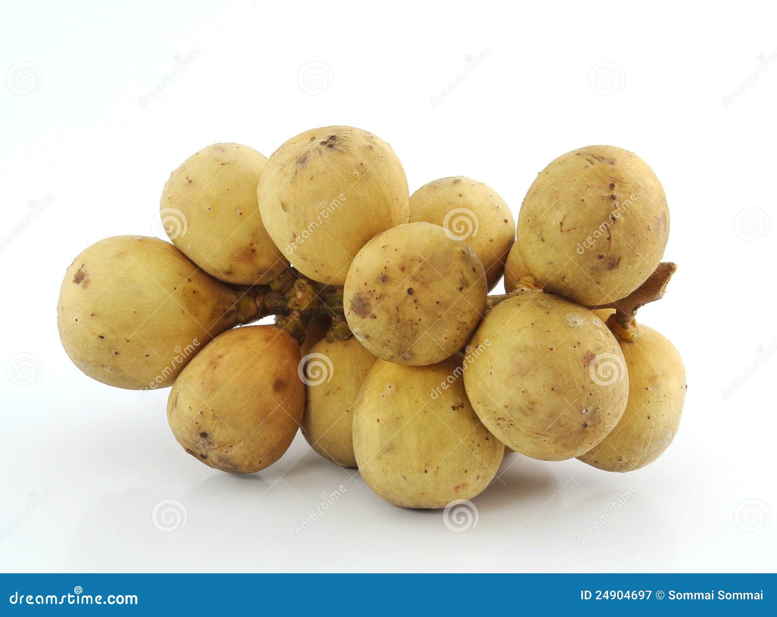 Lanzones Fruit Royalty Free Stock Photography - Image: 24904697
