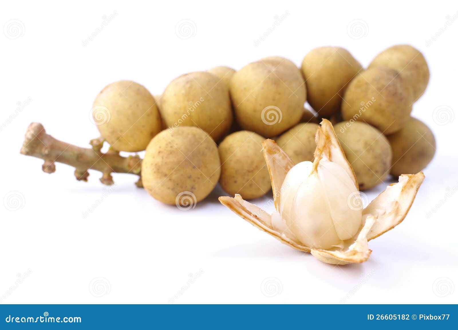 Lanzones fruit isolated stock photo. Image of tasty, healthy - 26605182