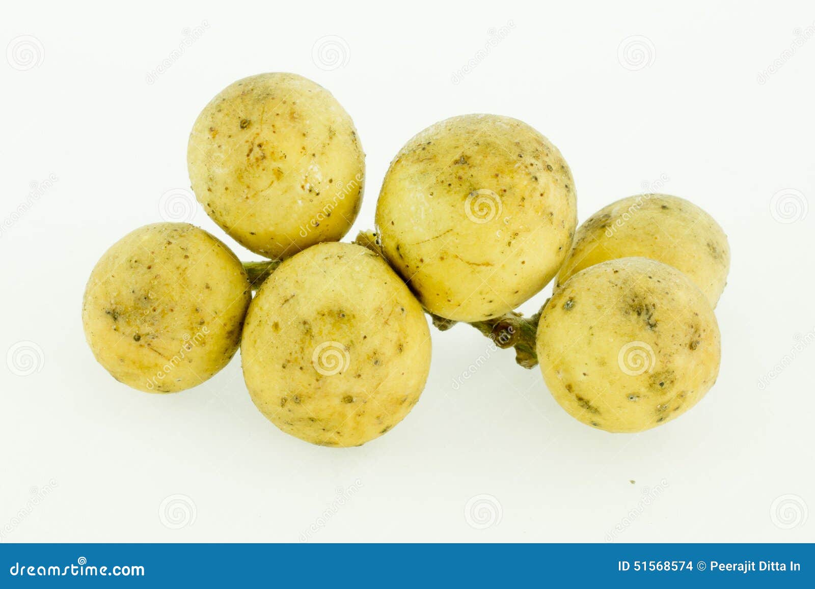 Closeup Of Lansones Or Lanzones Fruit AKA Langsat Or Lansium Domesticum ...