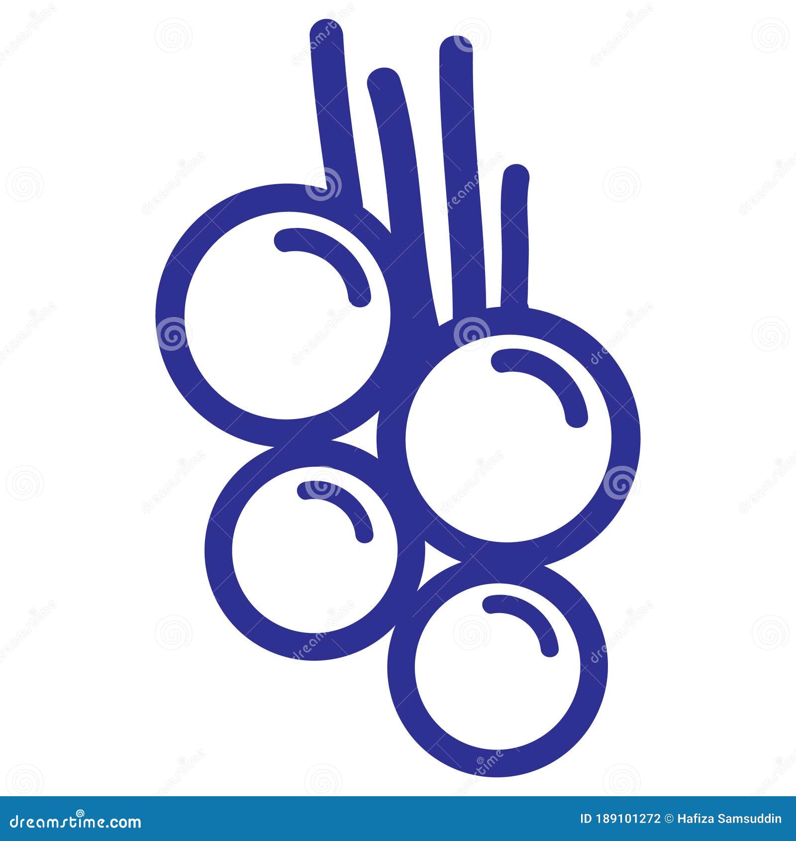 Lanzones. Vector Illustration Decorative Design Stock Vector ...