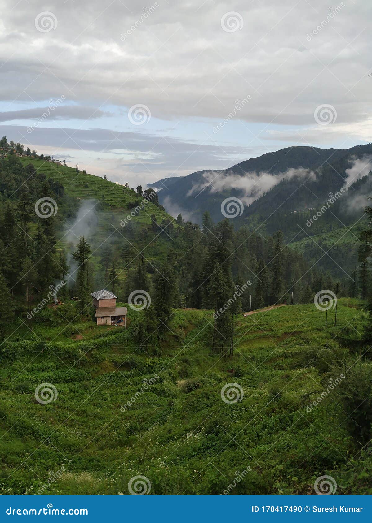 Lapas Boching Padhar Mandi Himachal Pardesh India Stock Photo - Image ...