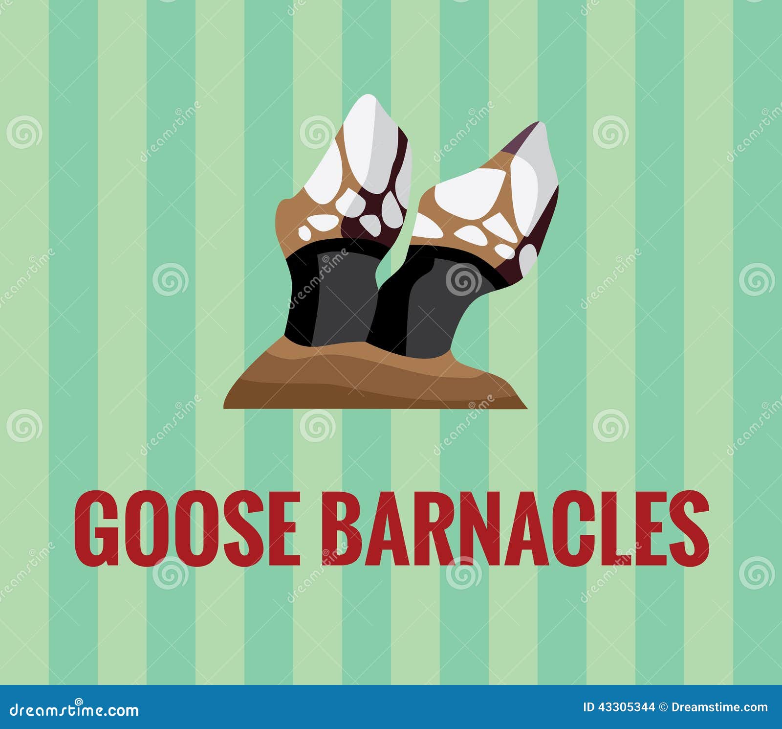 Lapas de ganso ilustración del vector. Ilustración de mariscos - 43305344