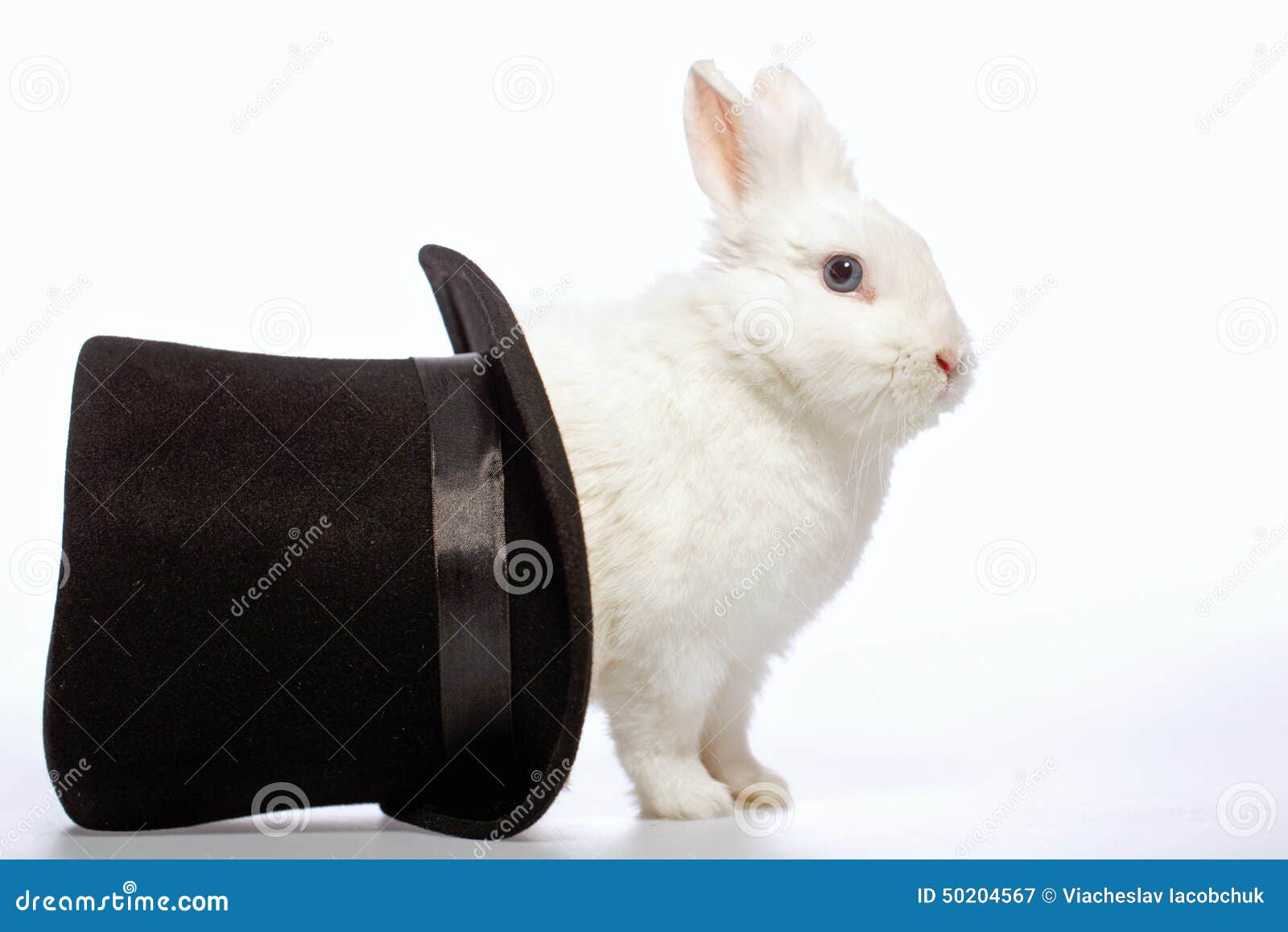 Lapin Jouant Avec Un Chapeau De Magiciens Image stock - Image du magie ...