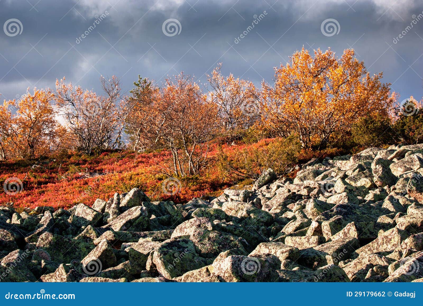 Lapland Highlands in Autumn Stock Photo - Image of park, beauty: 29179662