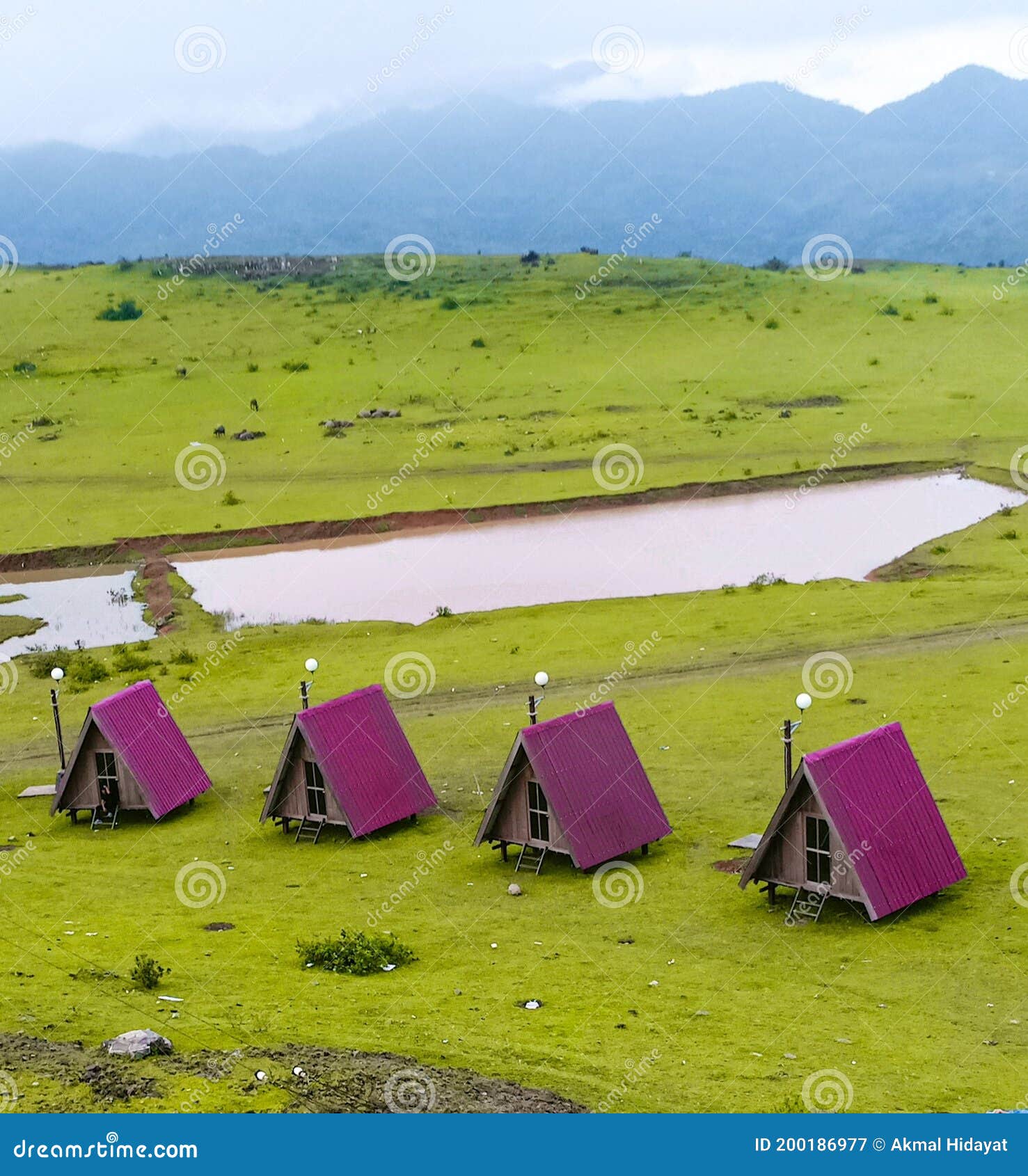 Lappa Laona stock image. Image of farm, barru, plain - 200186977