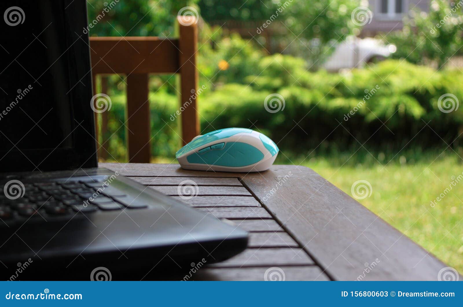 Laptop and Blue-white Mouse on the Table in the Garden Stock Image ...