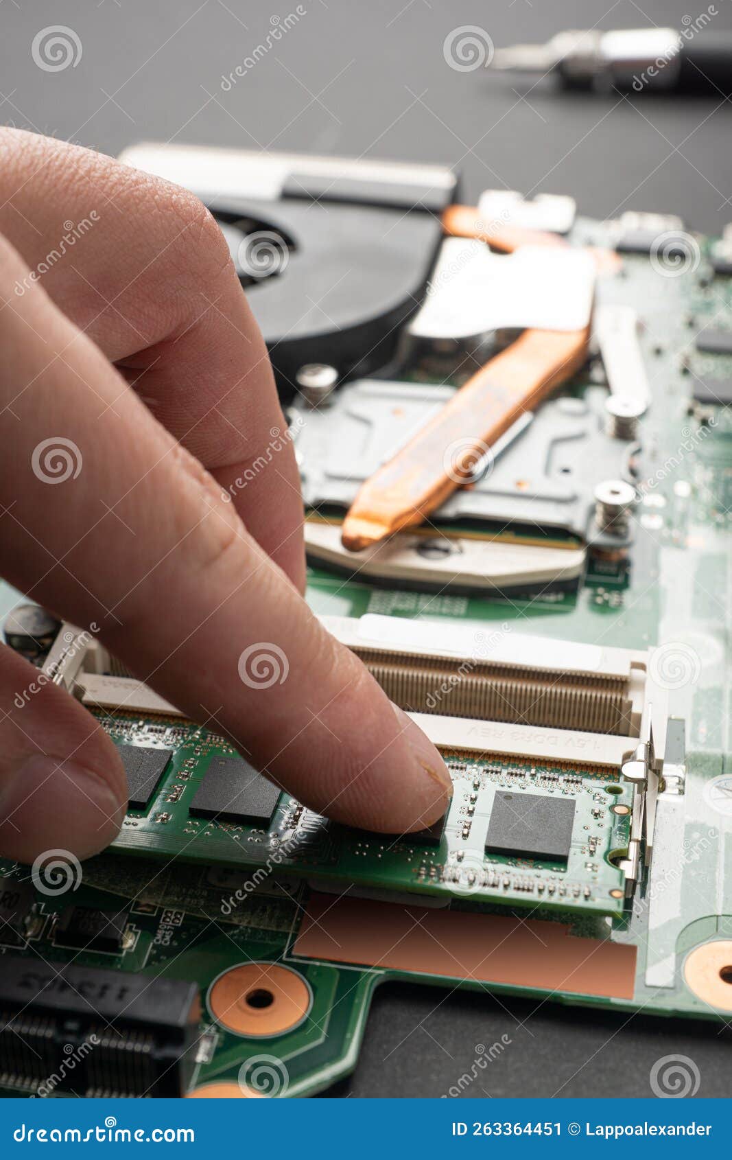 Laptop Board Service. RAM Installation Stock Image - Image of circuit ...