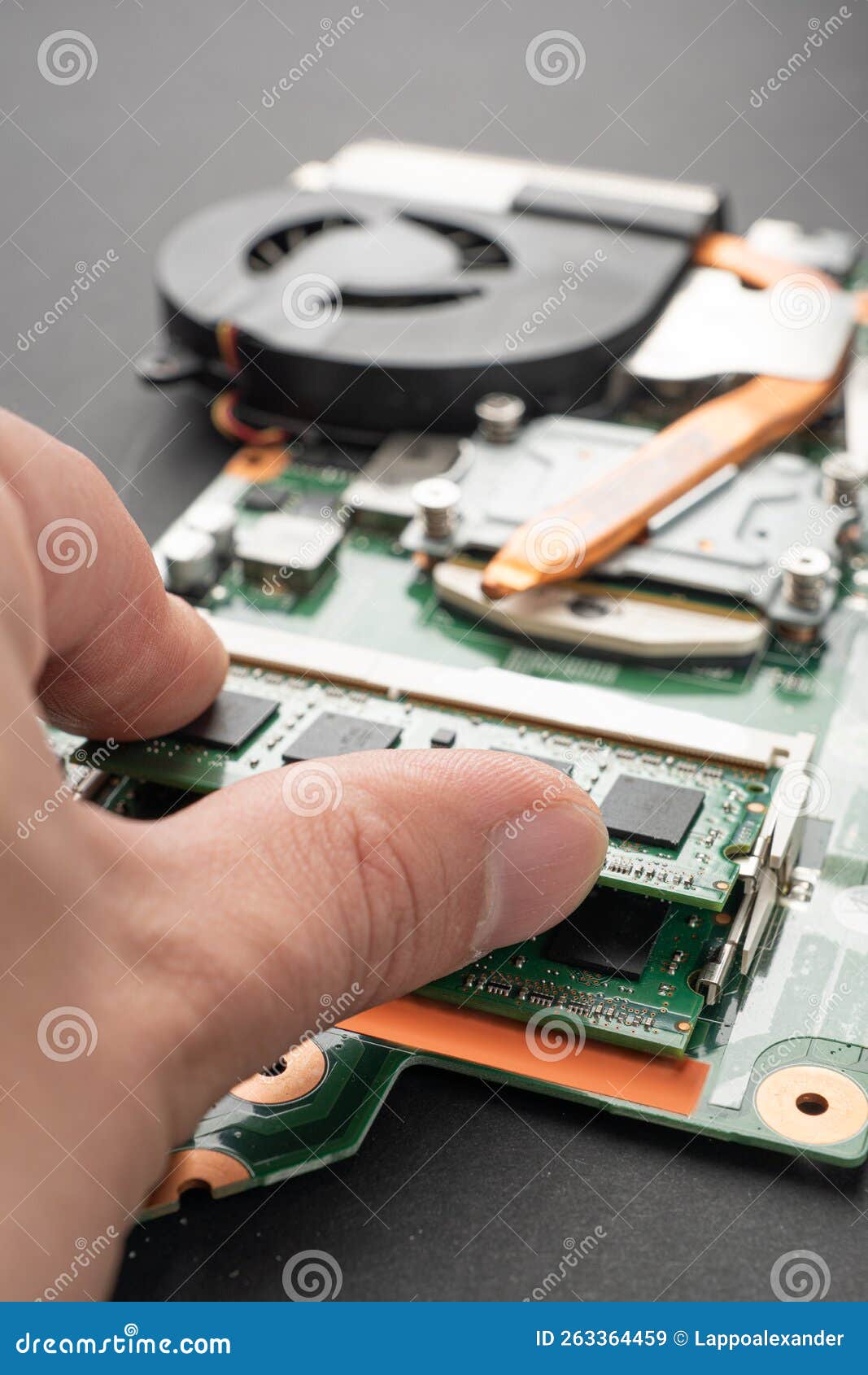 Laptop Board Service. RAM Installation Stock Image - Image of mother ...