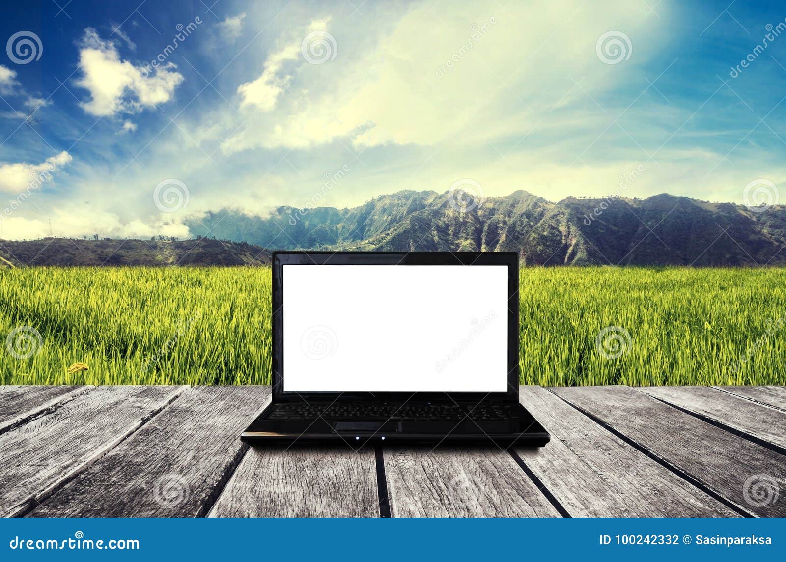 Laptop Computer Blank White Screen, on Wood Table at Countryside ...