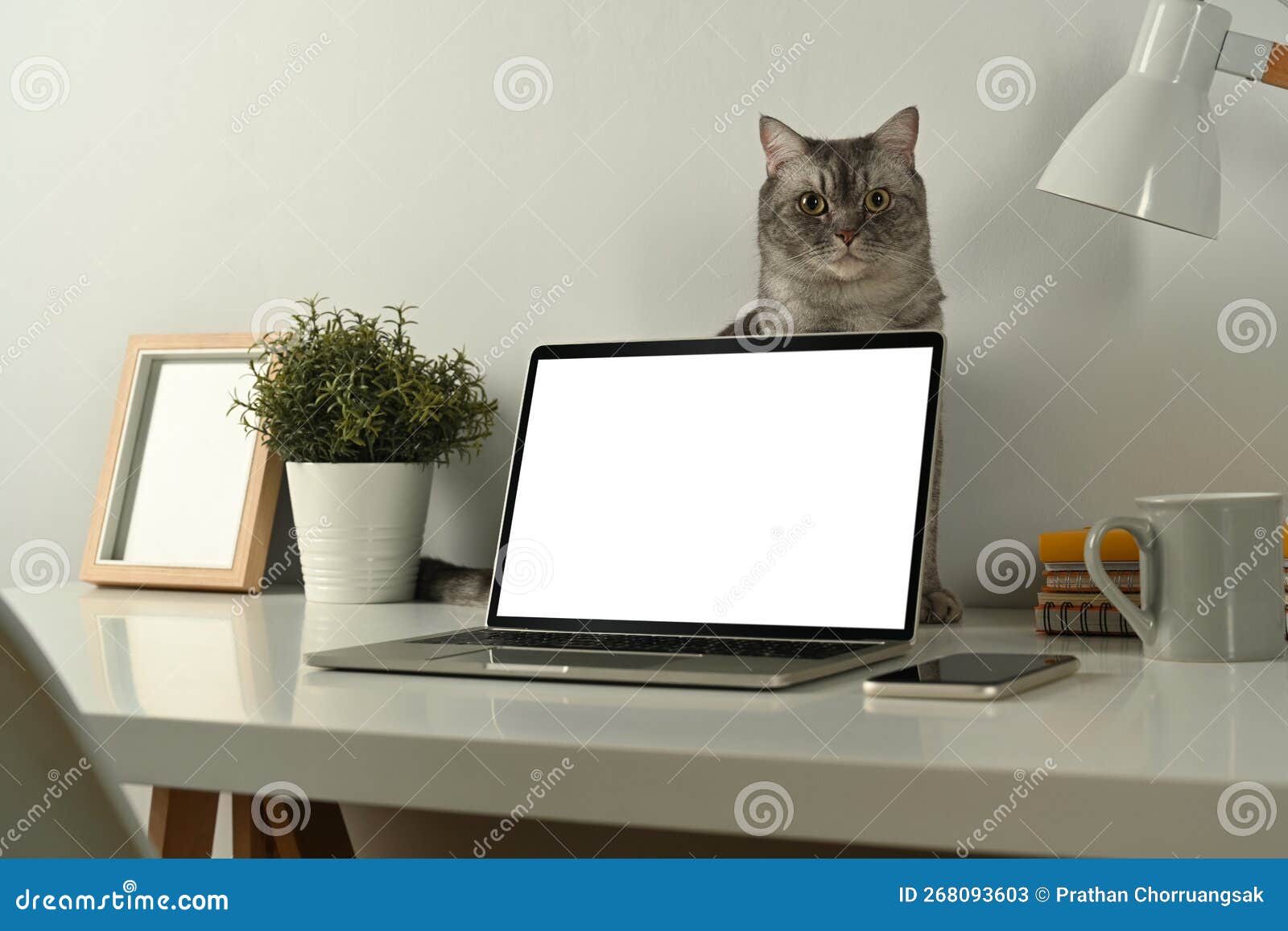 Laptop Computer with Empty Screen and Lovely Tabby Cat on White Table ...
