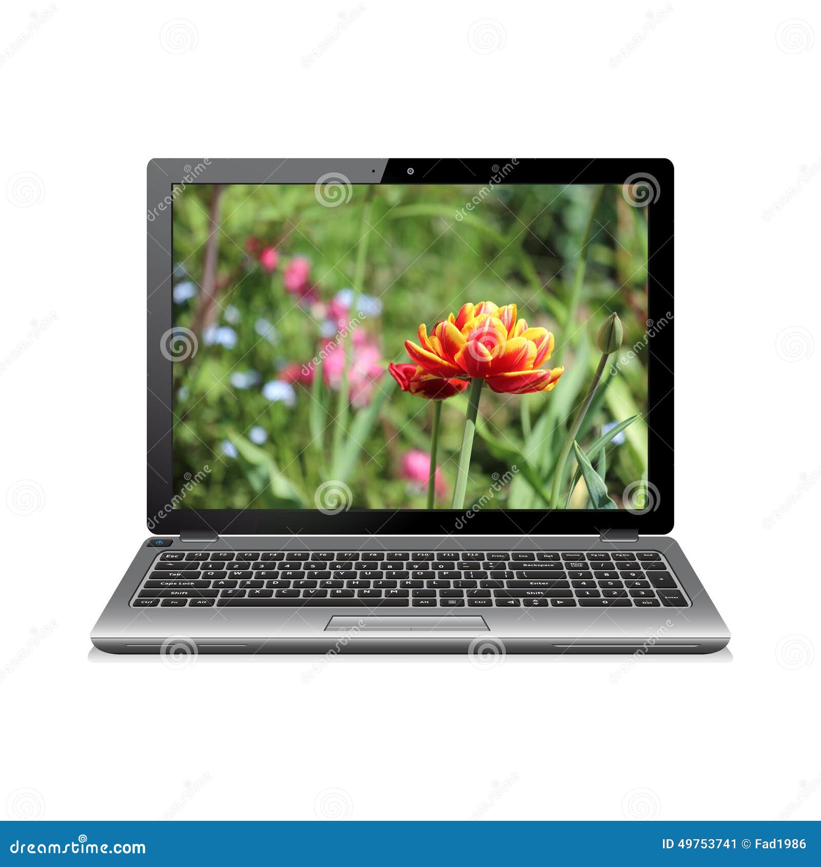 Laptop Computer with Flowers on Screen Stock Image - Image of blossom ...
