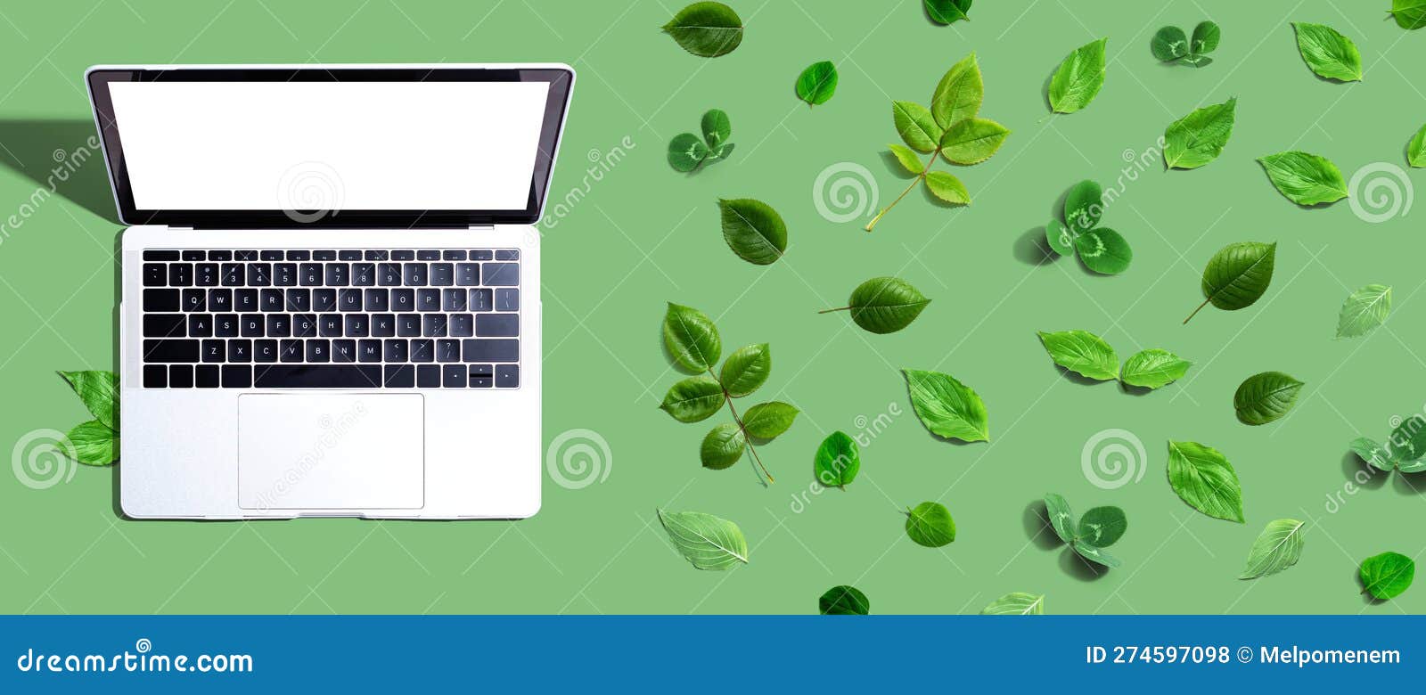 Laptop Computer with Green Leaves Stock Photo - Image of renewable ...