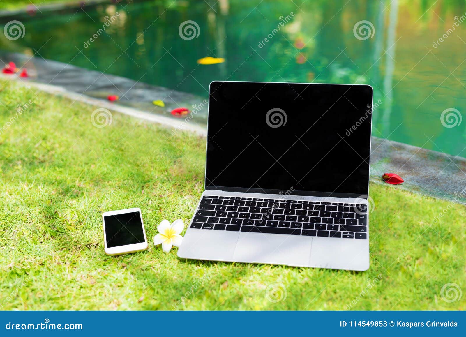 Laptop Computer and Mobile Phone in Grass by the Pool Stock Image ...