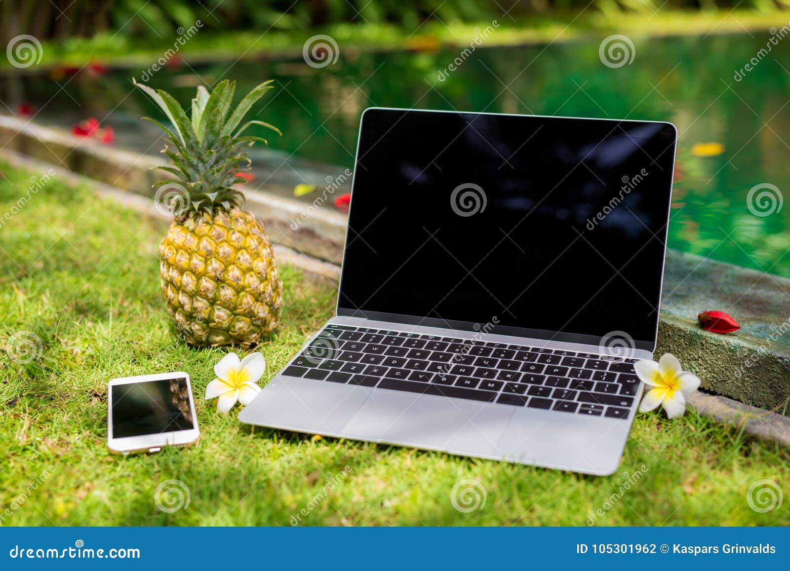 Laptop Computer, Mobile Phone and Pineapple in Exotic Location by the ...