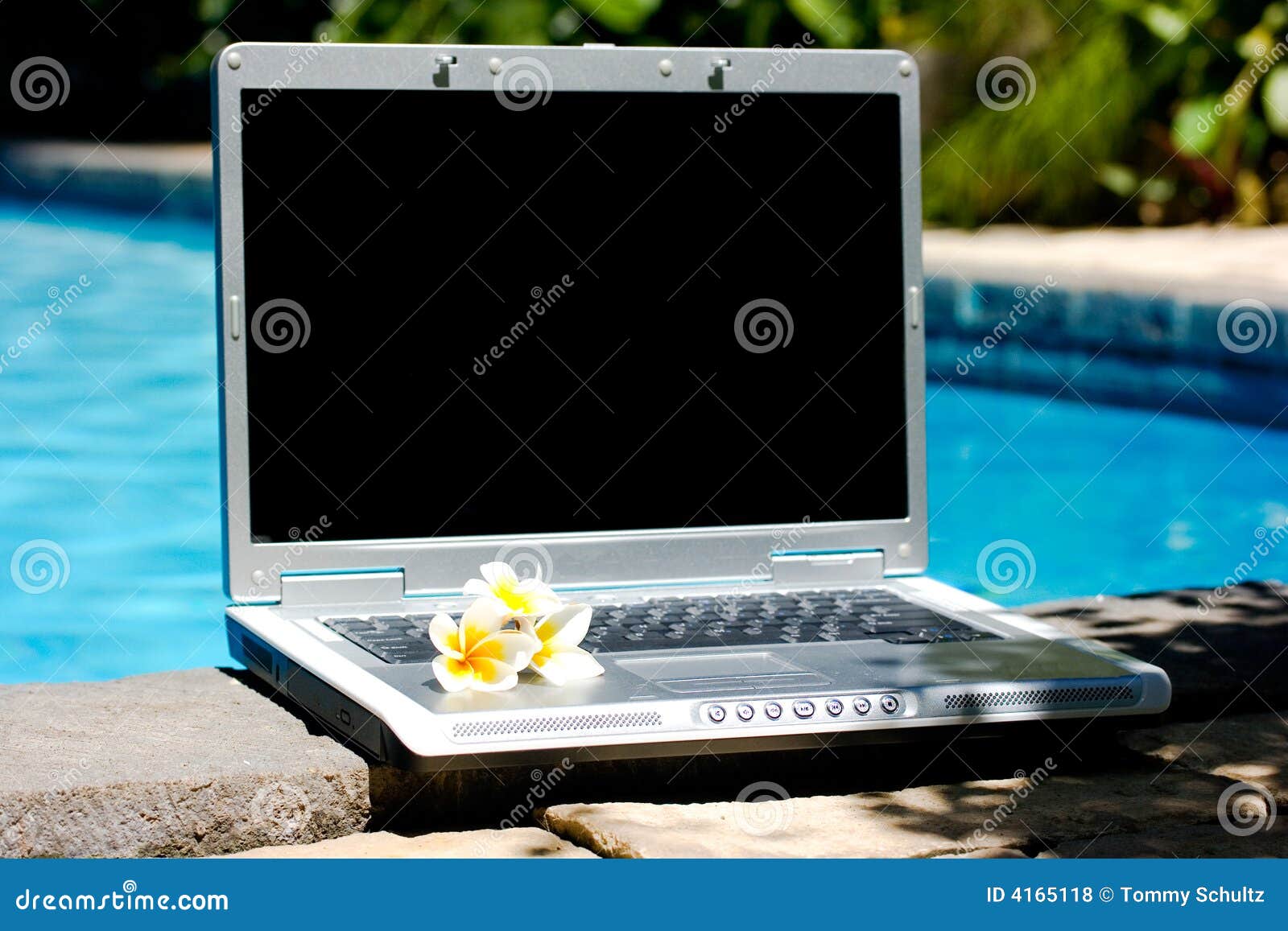 Laptop Computer and Resort Poo Stock Photo - Image of summer, relax ...