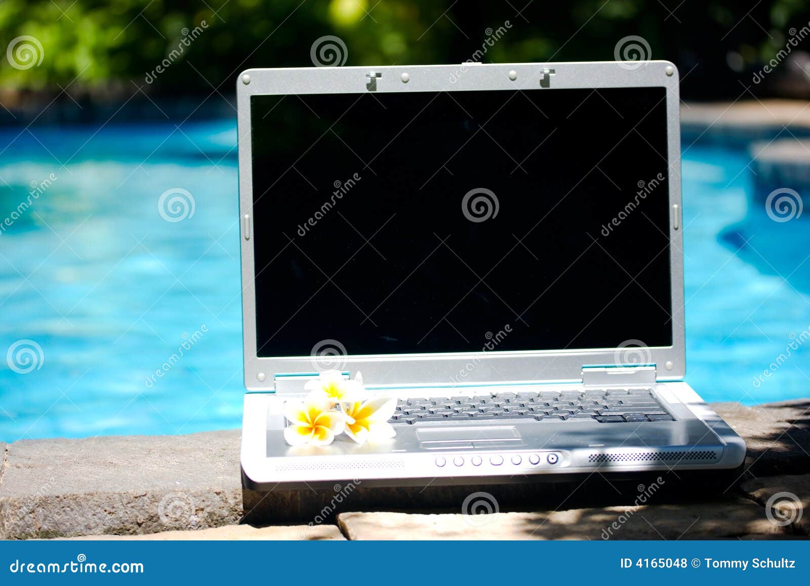Laptop Computer and Resort Pool Stock Photo - Image of computer ...