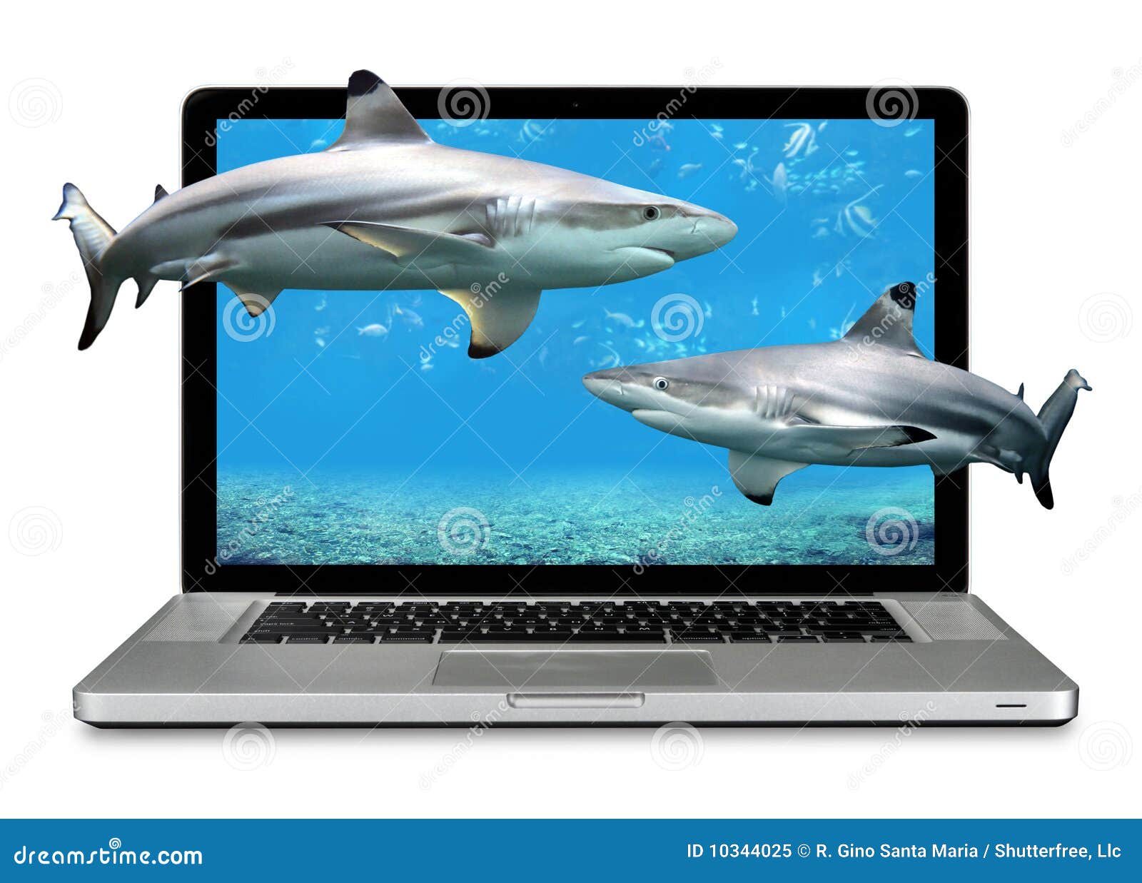 Laptop Computer with Sharks Stock Image - Image of curtains, crystal ...