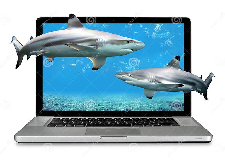Laptop Computer with Sharks Stock Image - Image of curtains, crystal ...