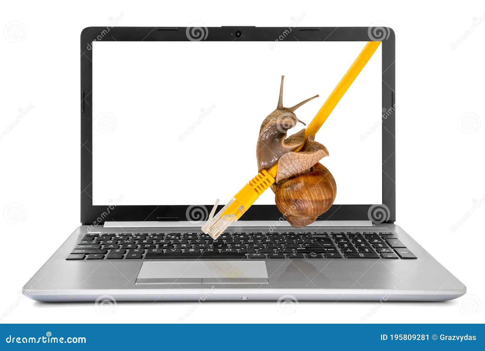 Laptop Computer with a Snail Crawling on a Yellow Network Cable Stock ...