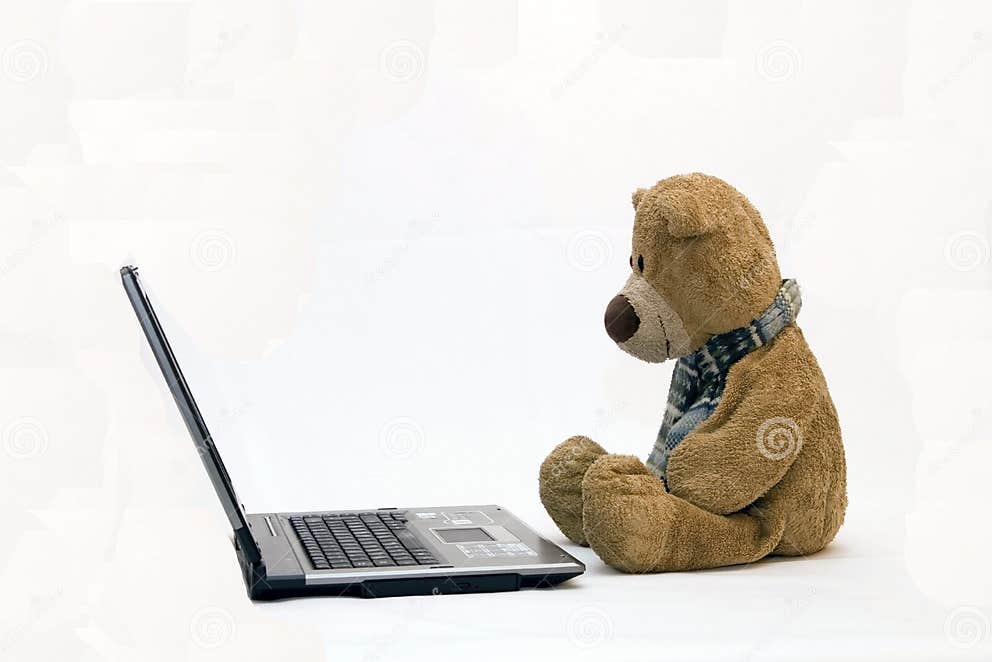 LAPTOP COMPUTER and TEDDY BEAR Stock Image - Image of laptop, object ...