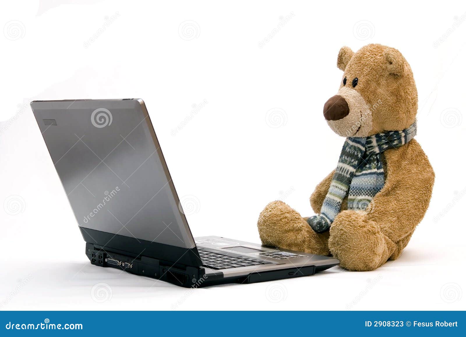 LAPTOP COMPUTER and TEDDY BEAR Stock Image - Image of isolated, laptop ...