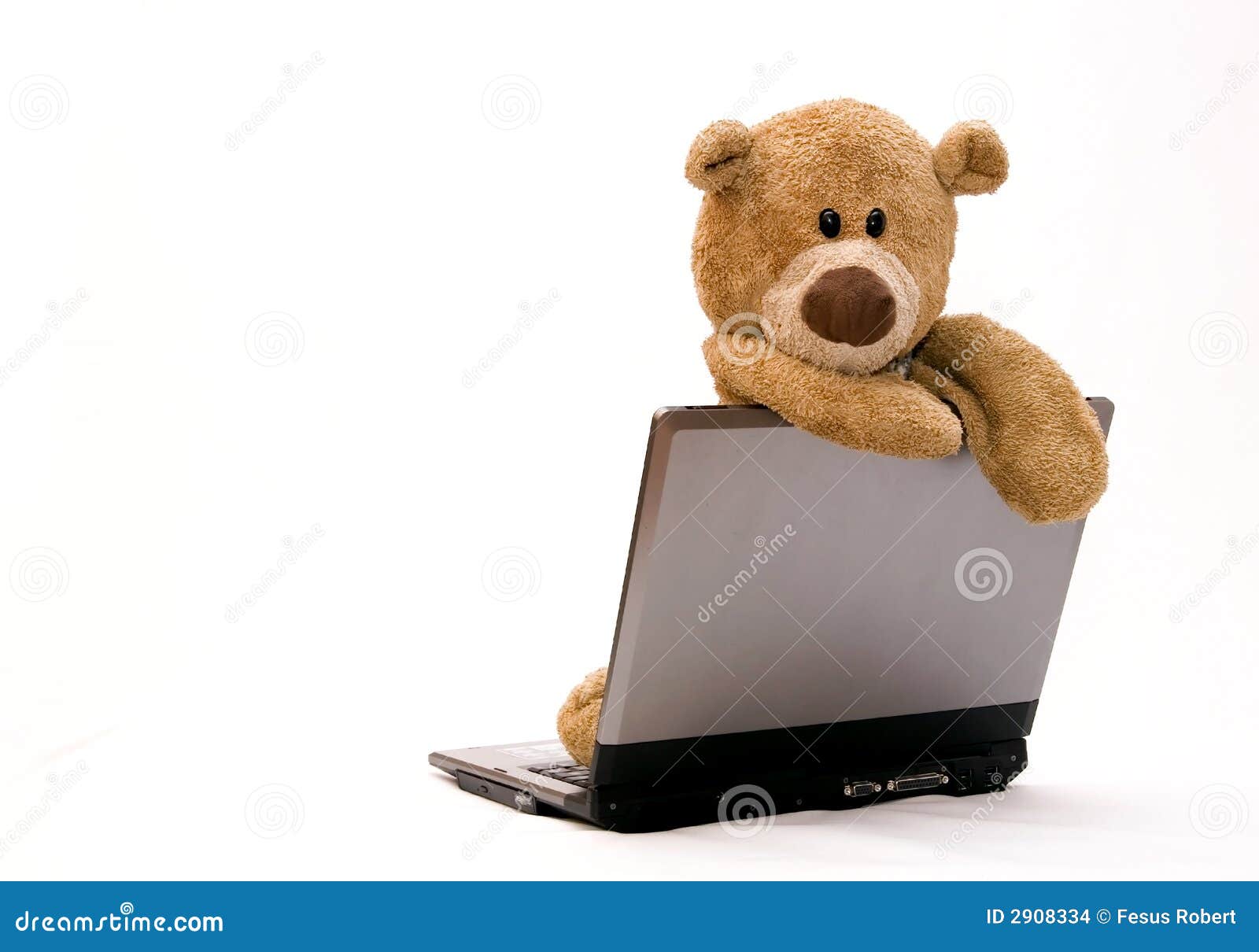 LAPTOP COMPUTER and TEDDY BEAR Stock Photo - Image of business ...