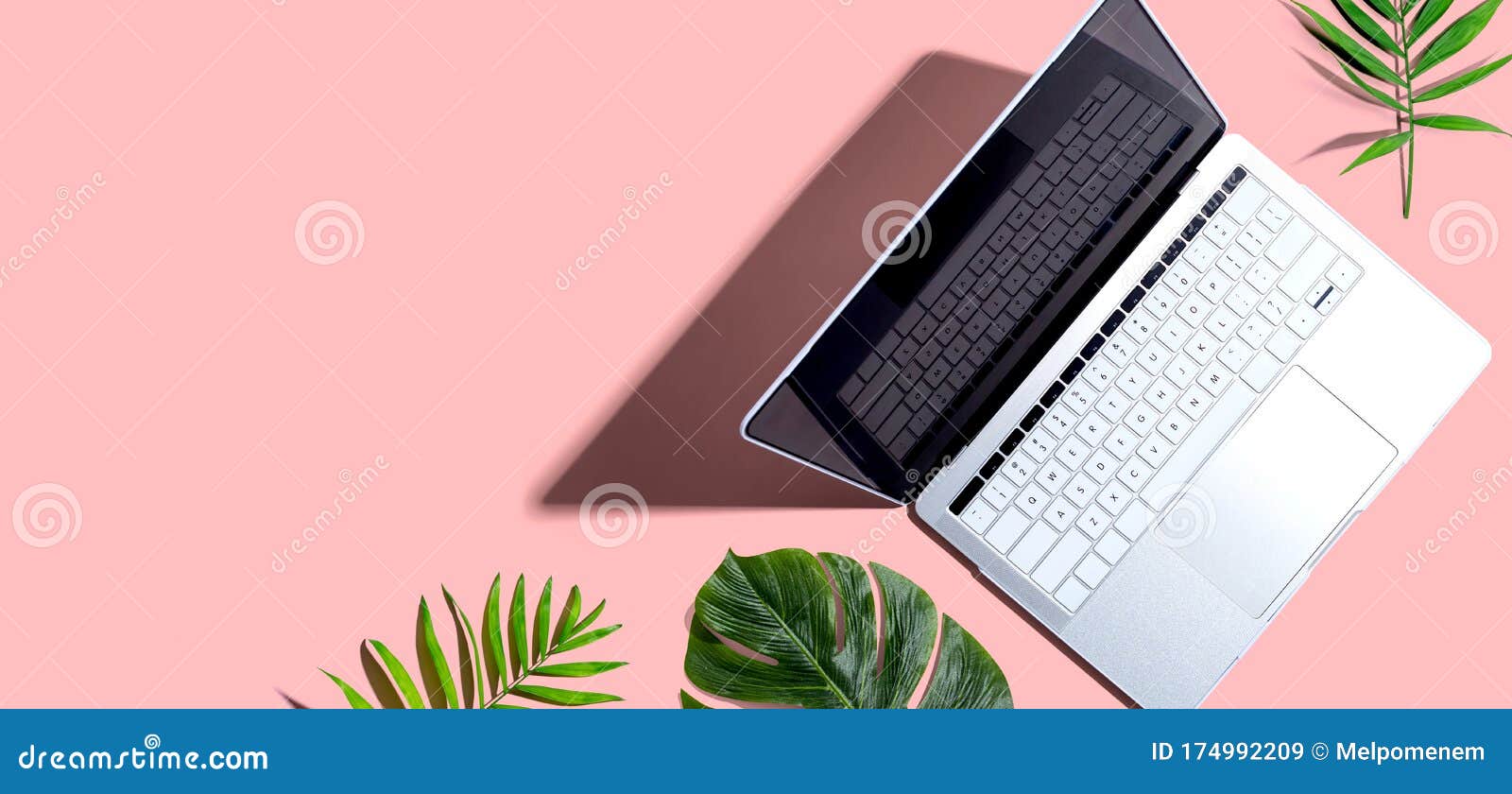 Laptop Computer with Tropical Plants Stock Image - Image of computer ...