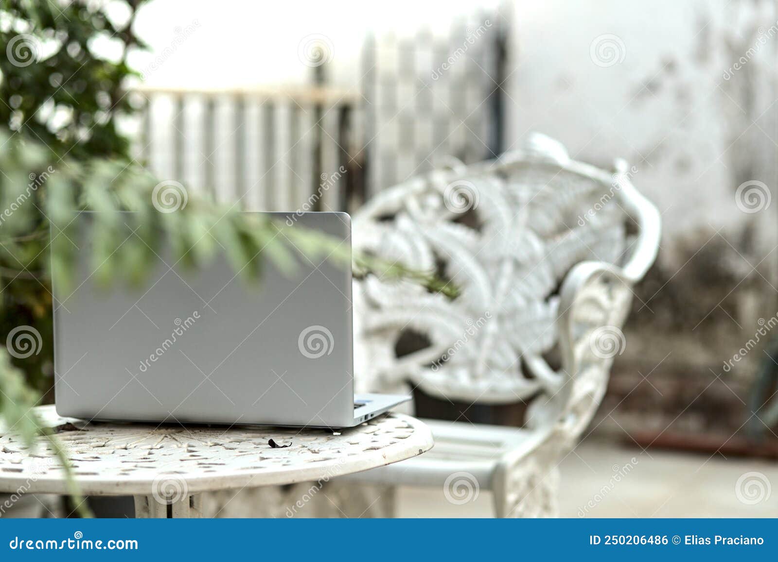 Laptop in the Garden Office. Stock Photo - Image of office, desk: 250206486